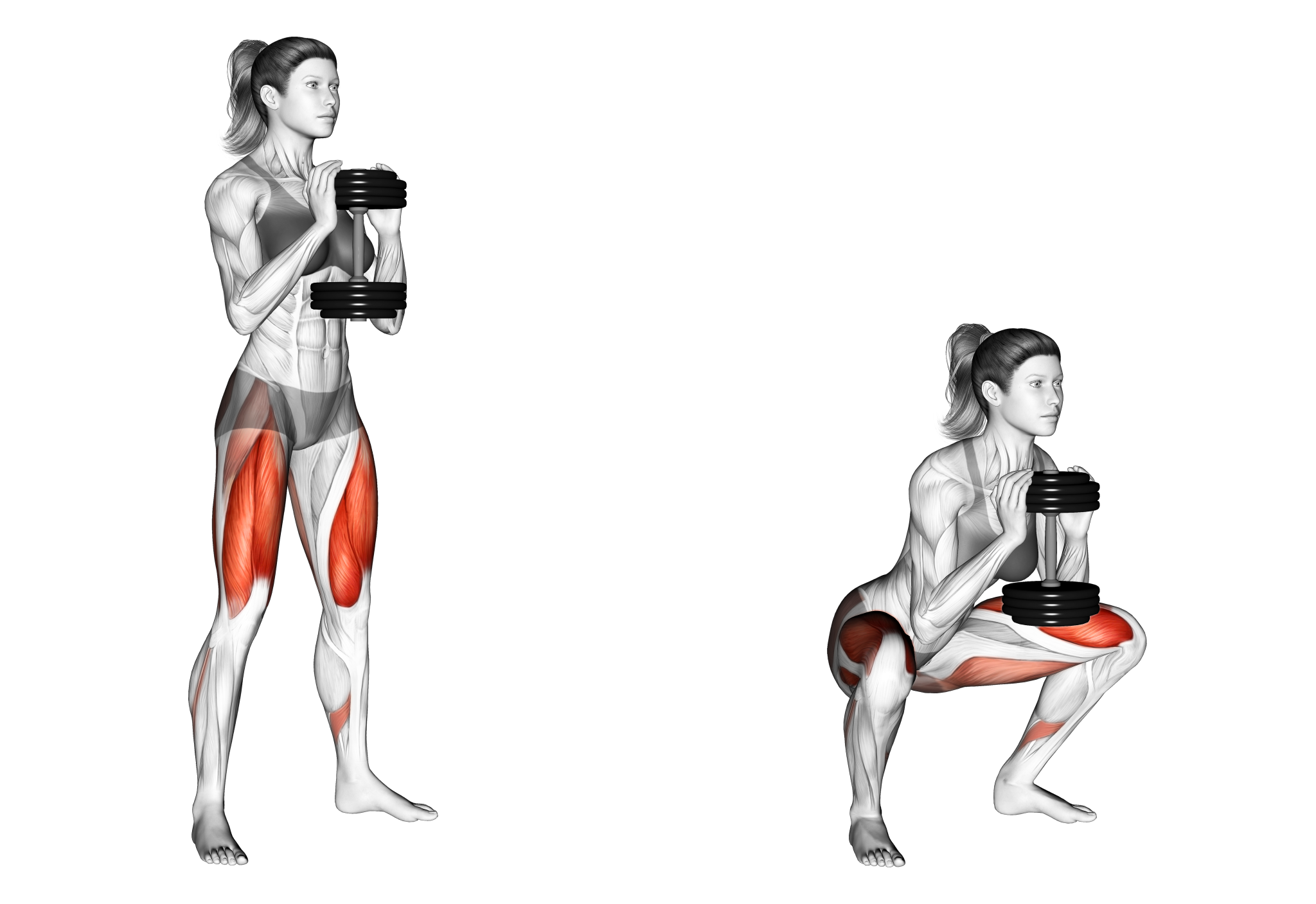 6 Best Goblet Squat Variations (with Pictures!) - Inspire US