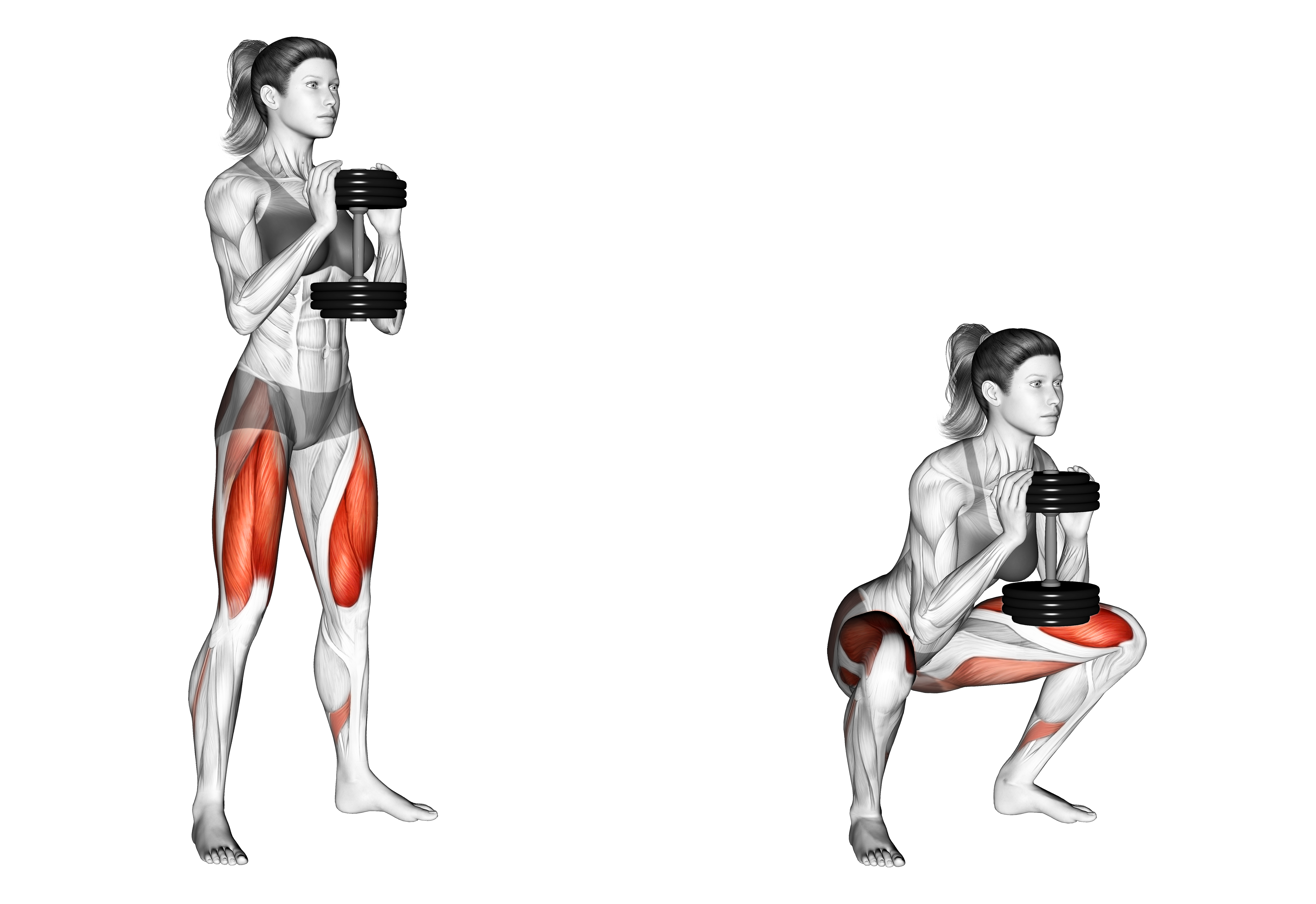 6 Best Goblet Squat Variations (with Pictures!) - Inspire US