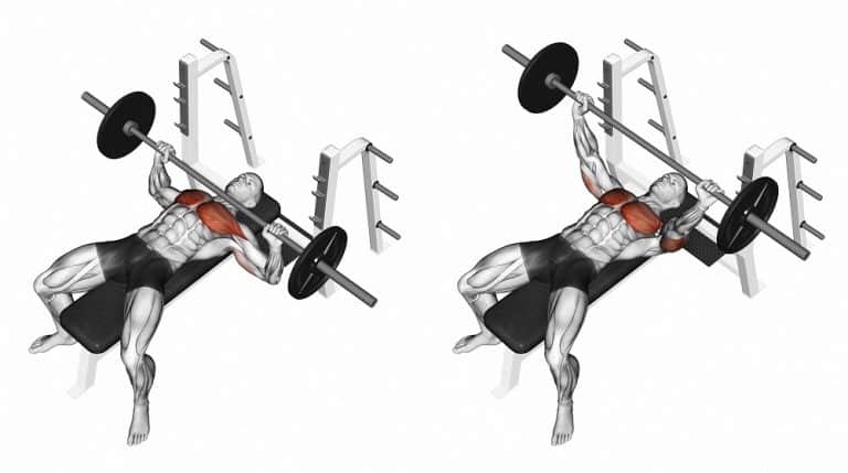 Weighted Push Ups vs Bench Press (5 Major Differences) - Inspire US