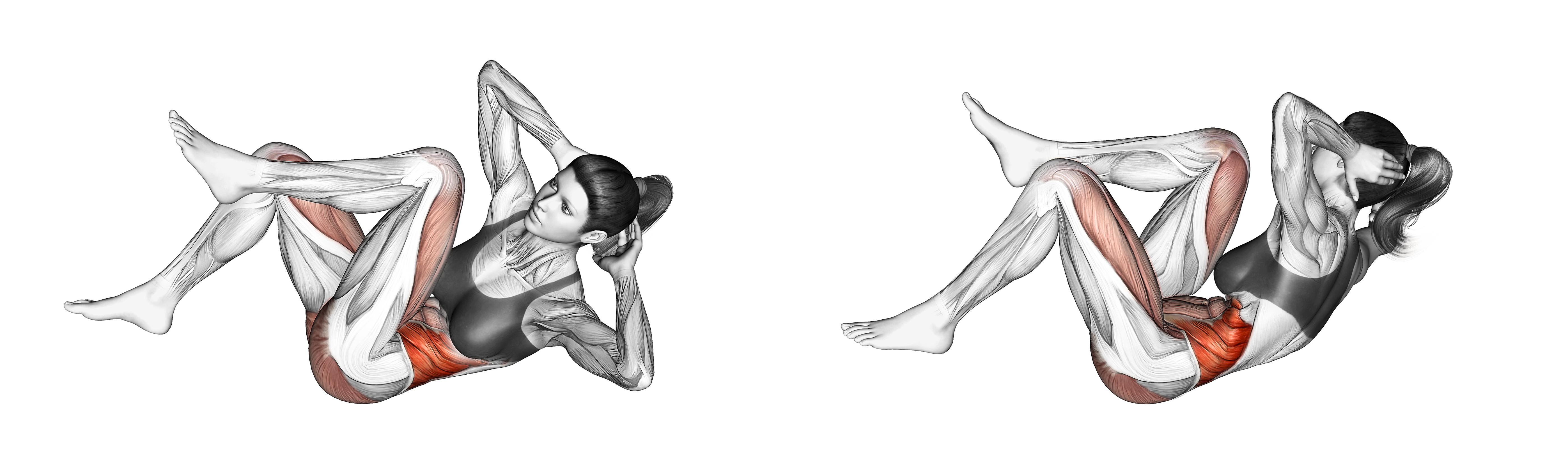 3 Best Linea Alba Exercises (with Pictures!): Strengthen the Core ...