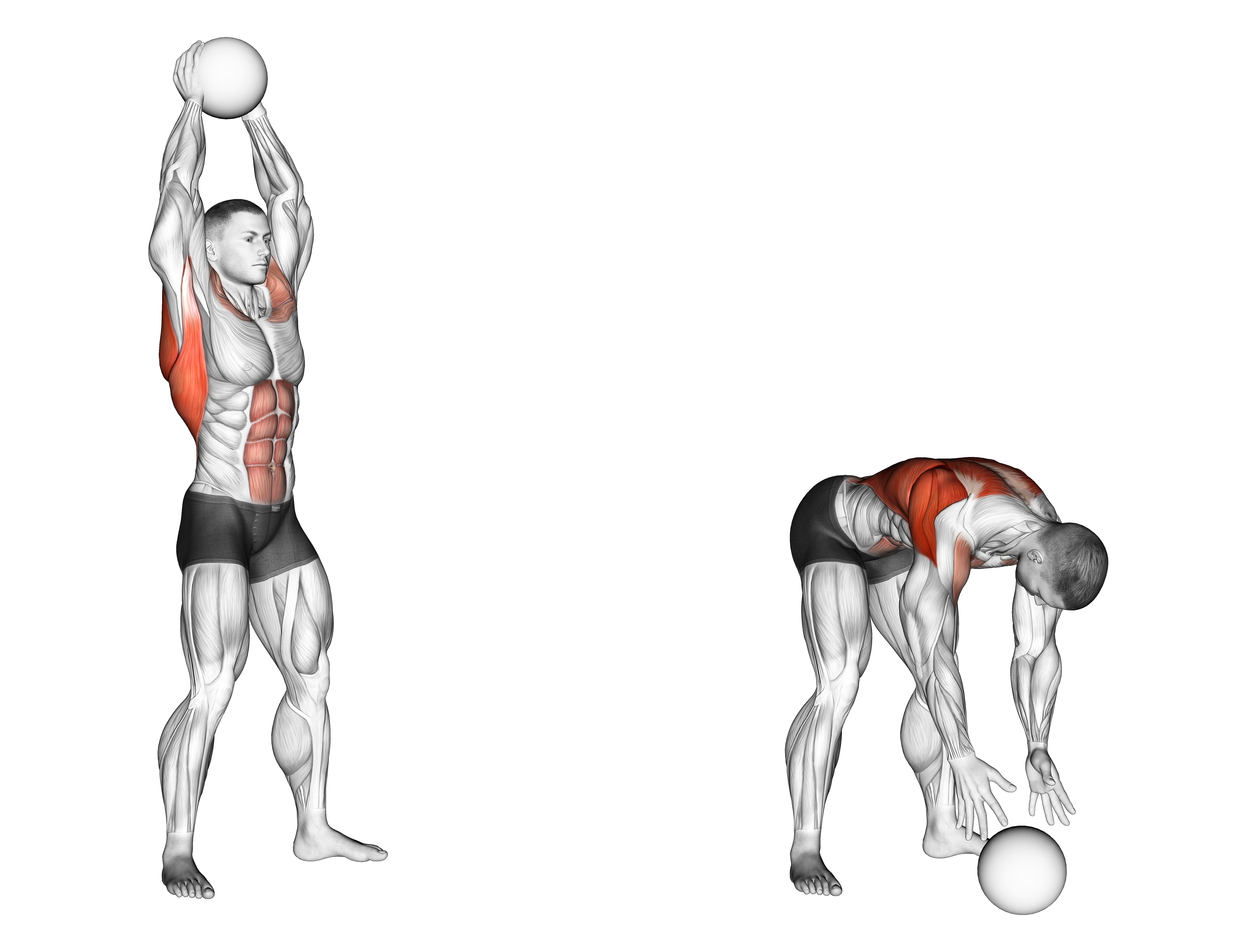 10 Best Battle Rope Alternatives (With Pictures!) - Inspire US