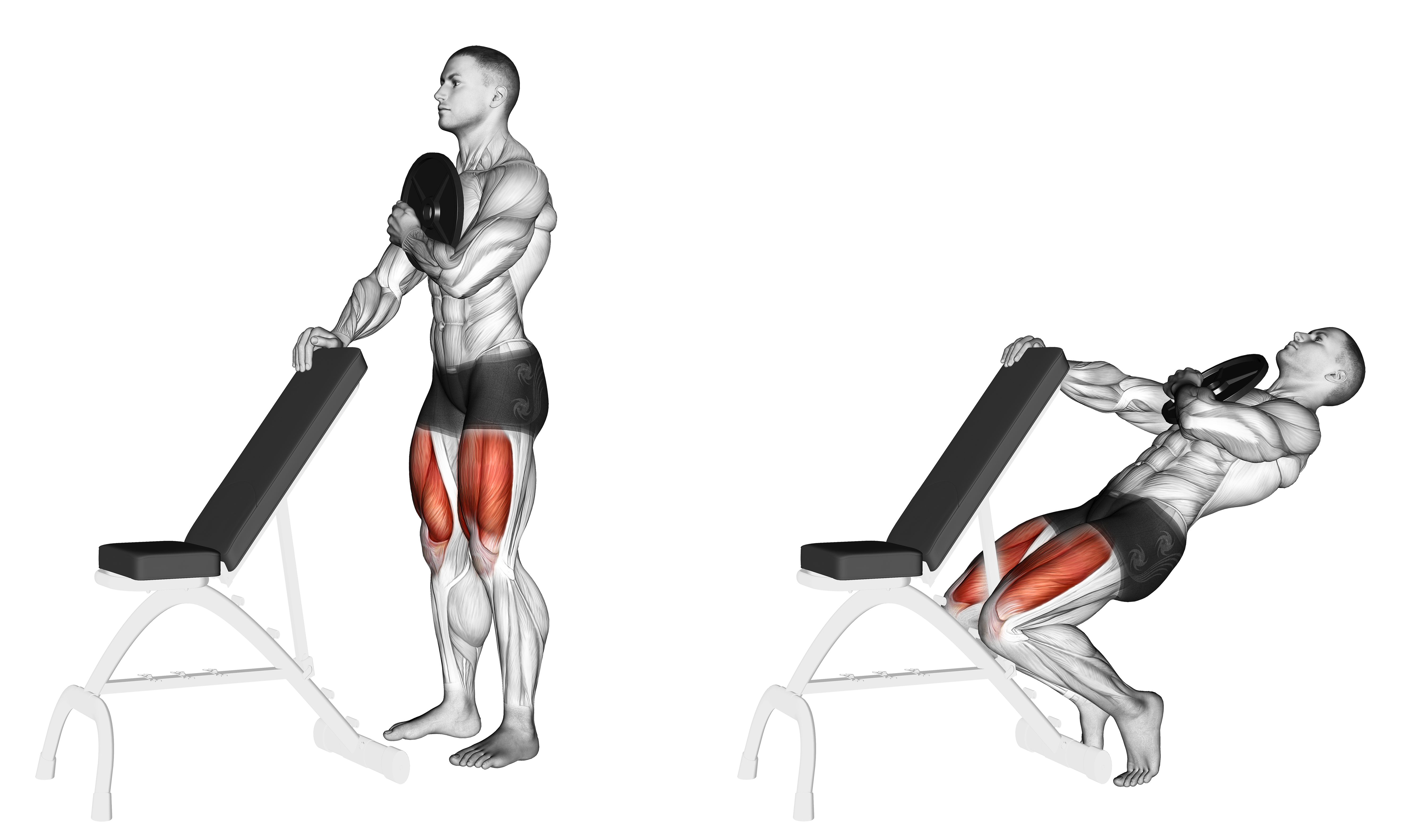 Sissy Squat Alternatives: How to Target the Same Muscles - Inspire US