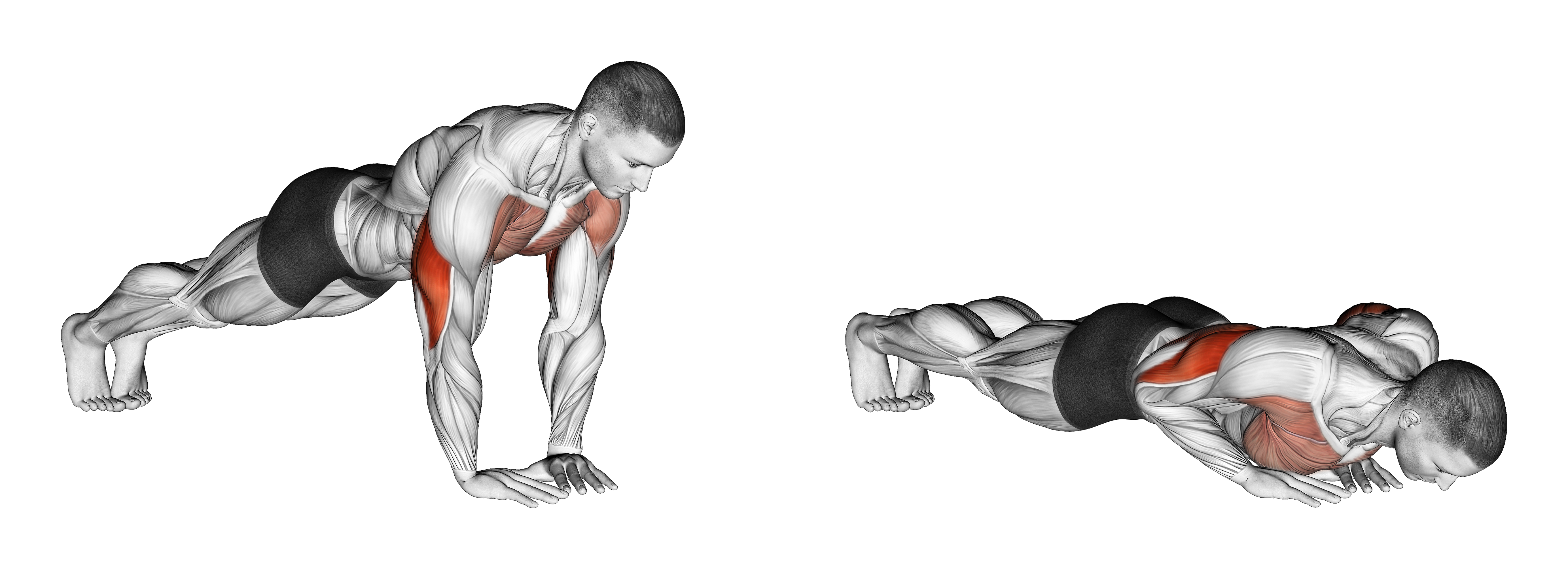 Diamond Push-ups: Benefits, Muscles Used, and More - Inspire US