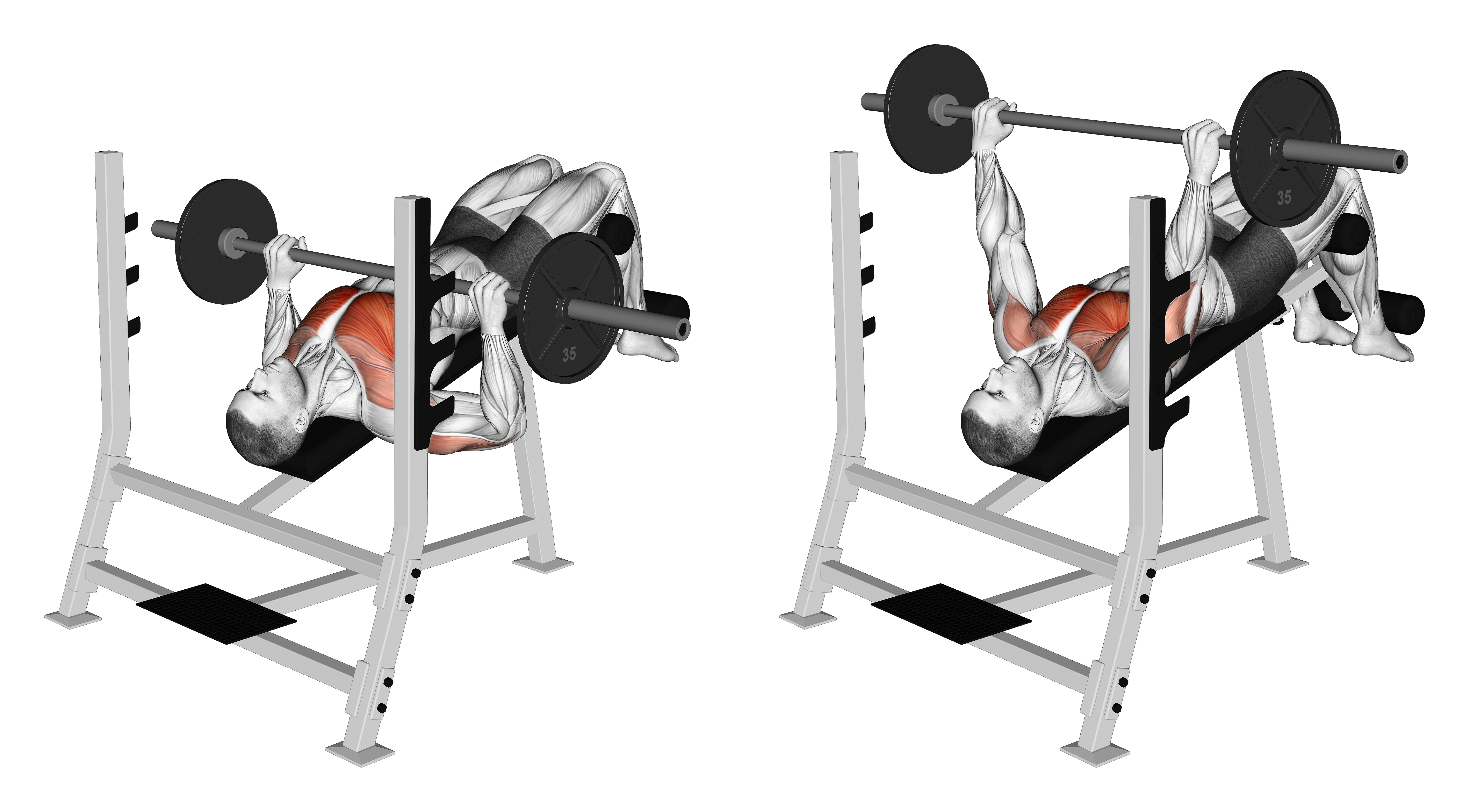 Barbell Decline Bench Press: Benefits, Muscles Worked, and More ...