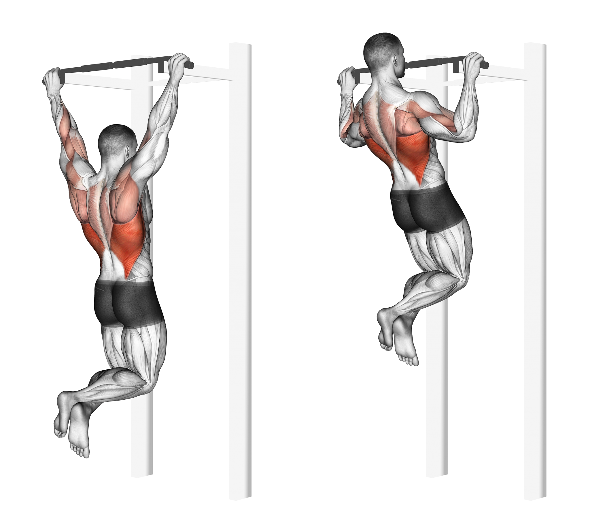 6 Best Compound Pull Exercises (with Pictures!) - Inspire US