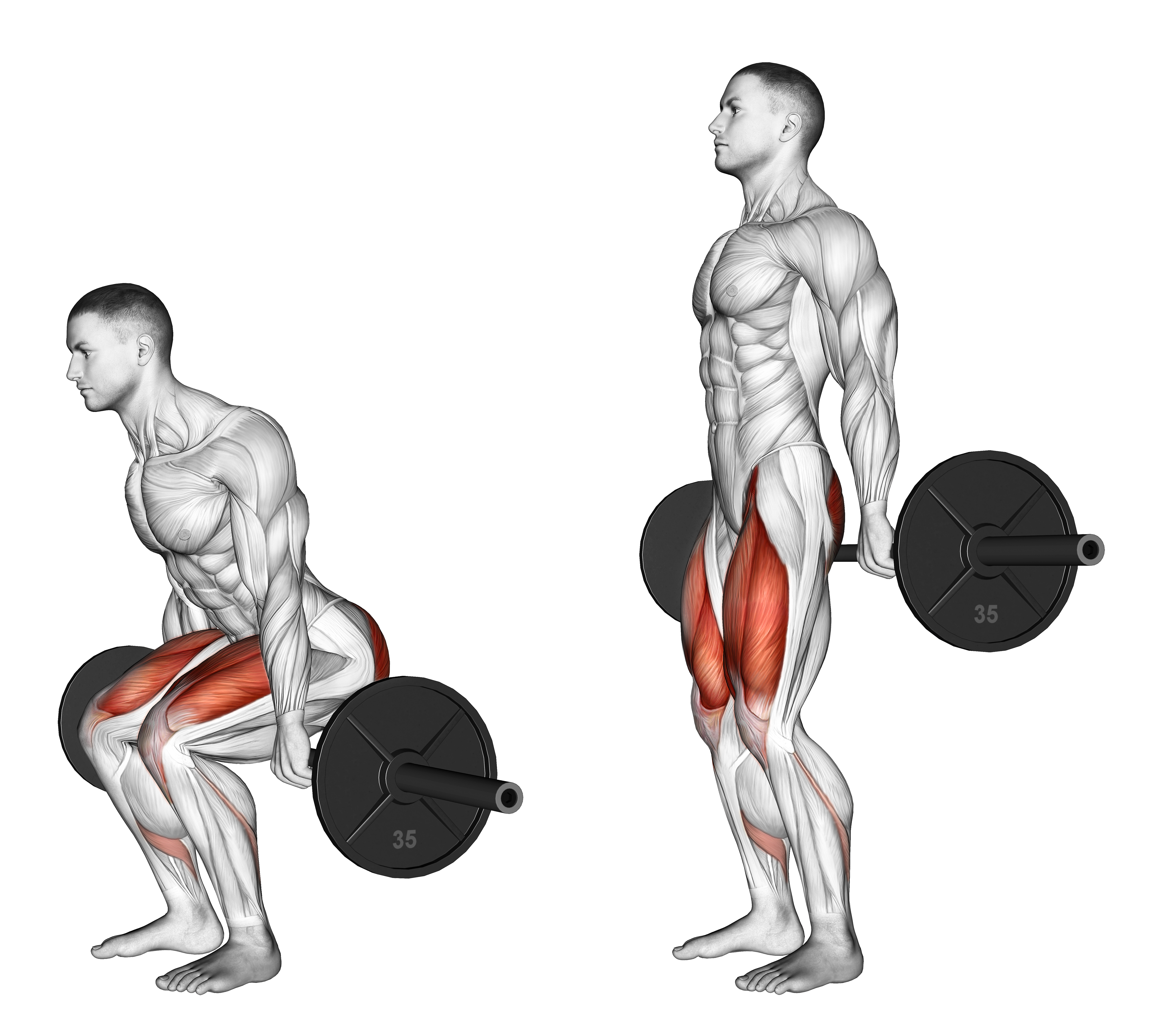 12 Best Lower Body Pulling Exercises (with Pictures!) - Inspire US