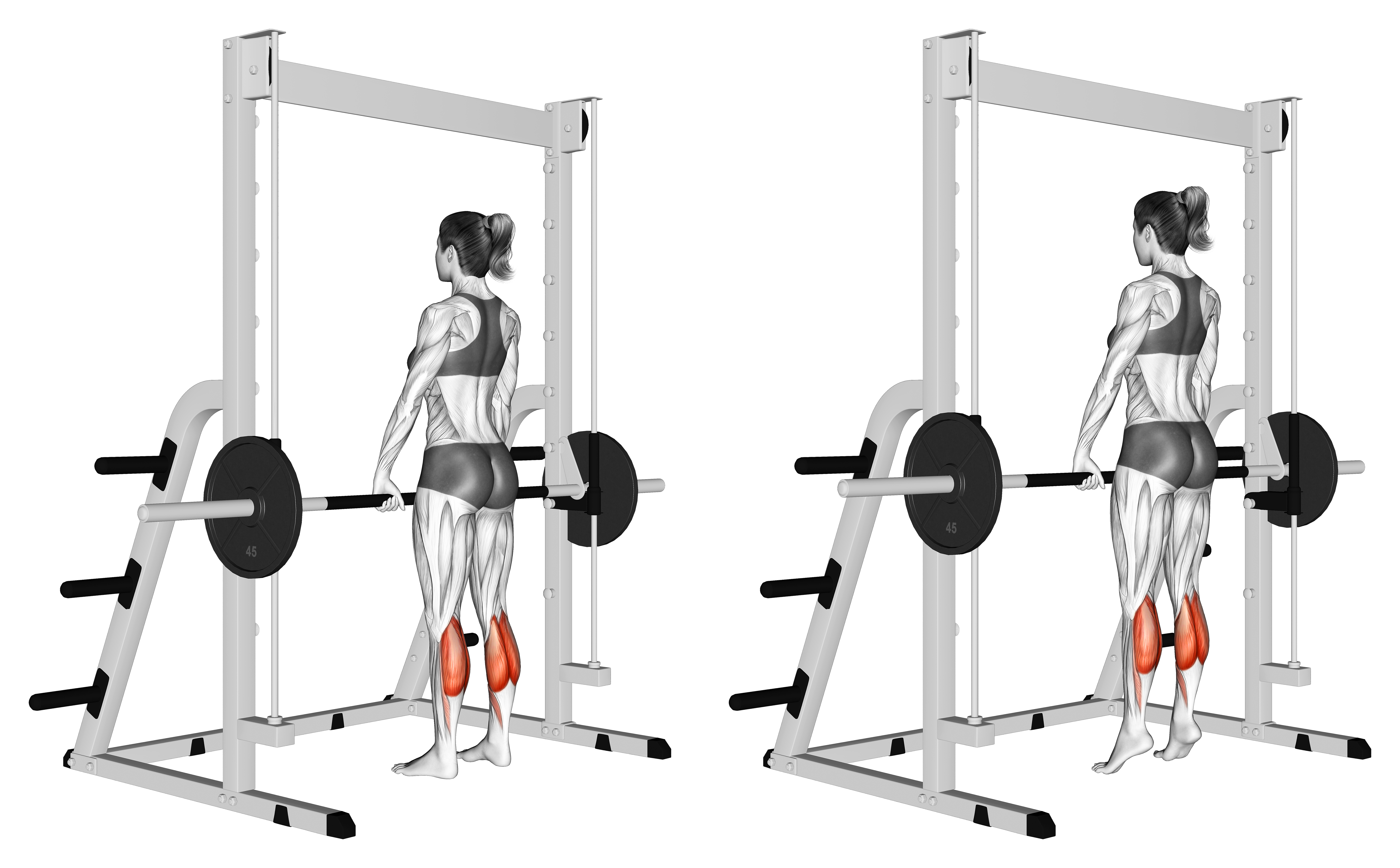 7 Best Calf Raise Variations (with Pictures!) - Inspire US