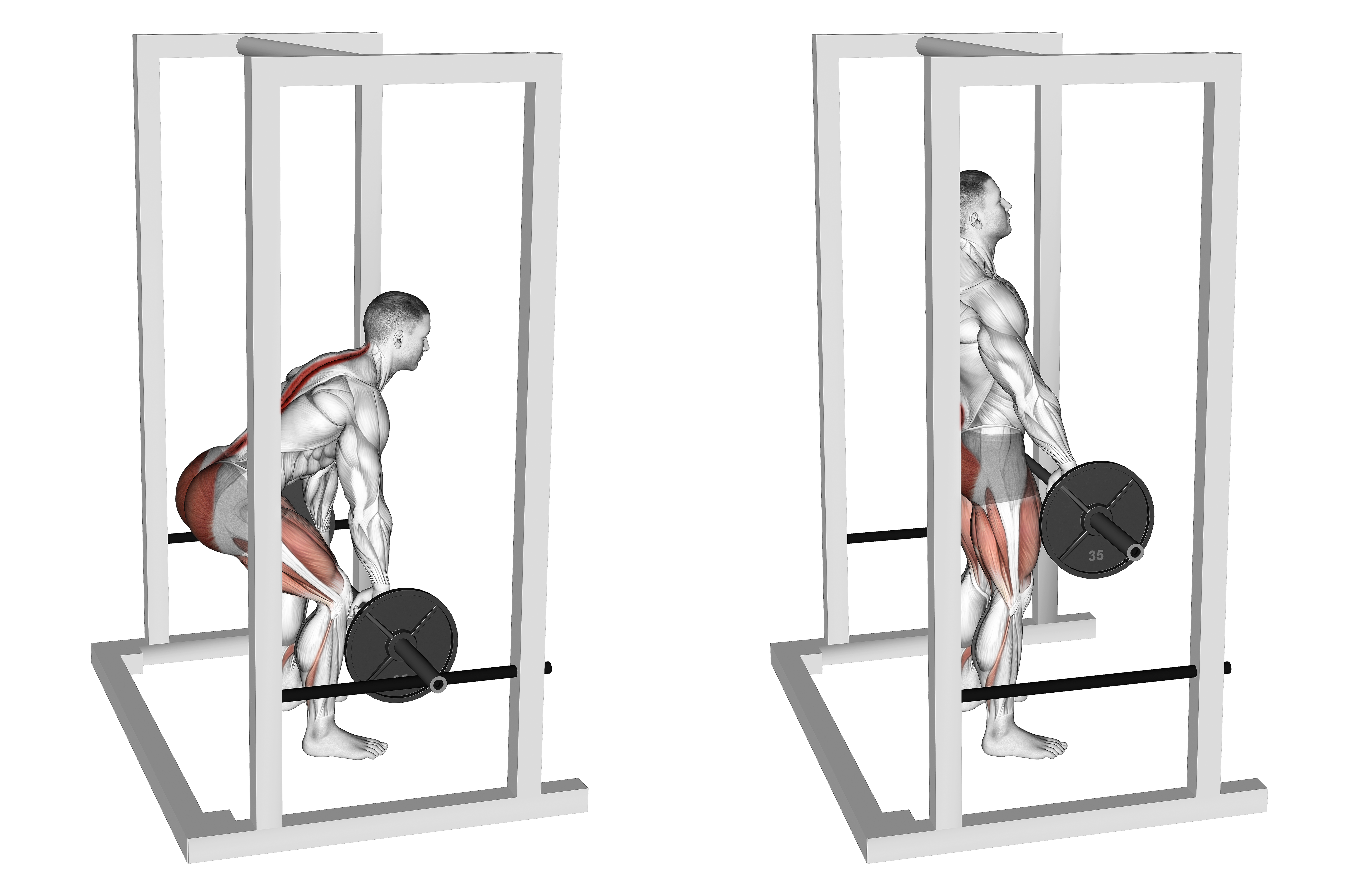 The Rack Pull: Benefits, Muscles Used, and More - Inspire US