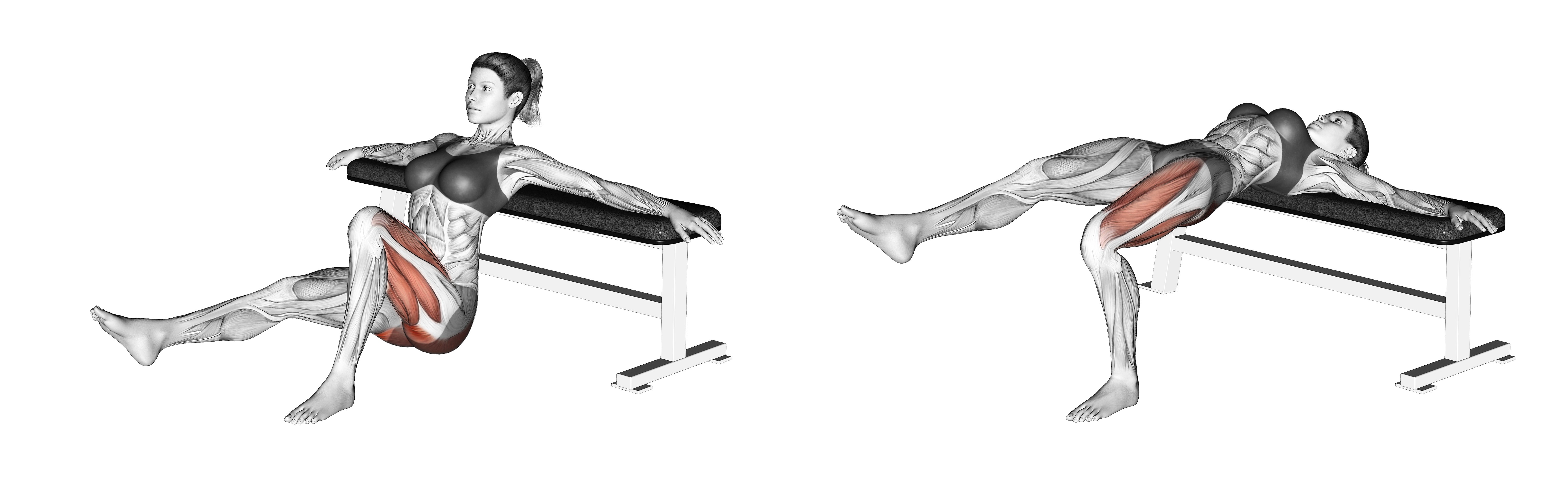 Single Leg Hip Thrust: Muscles Worked and More - Inspire US