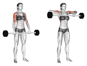 8 Highly Effective Upright Row Alternatives (With Pictures) - Inspire US