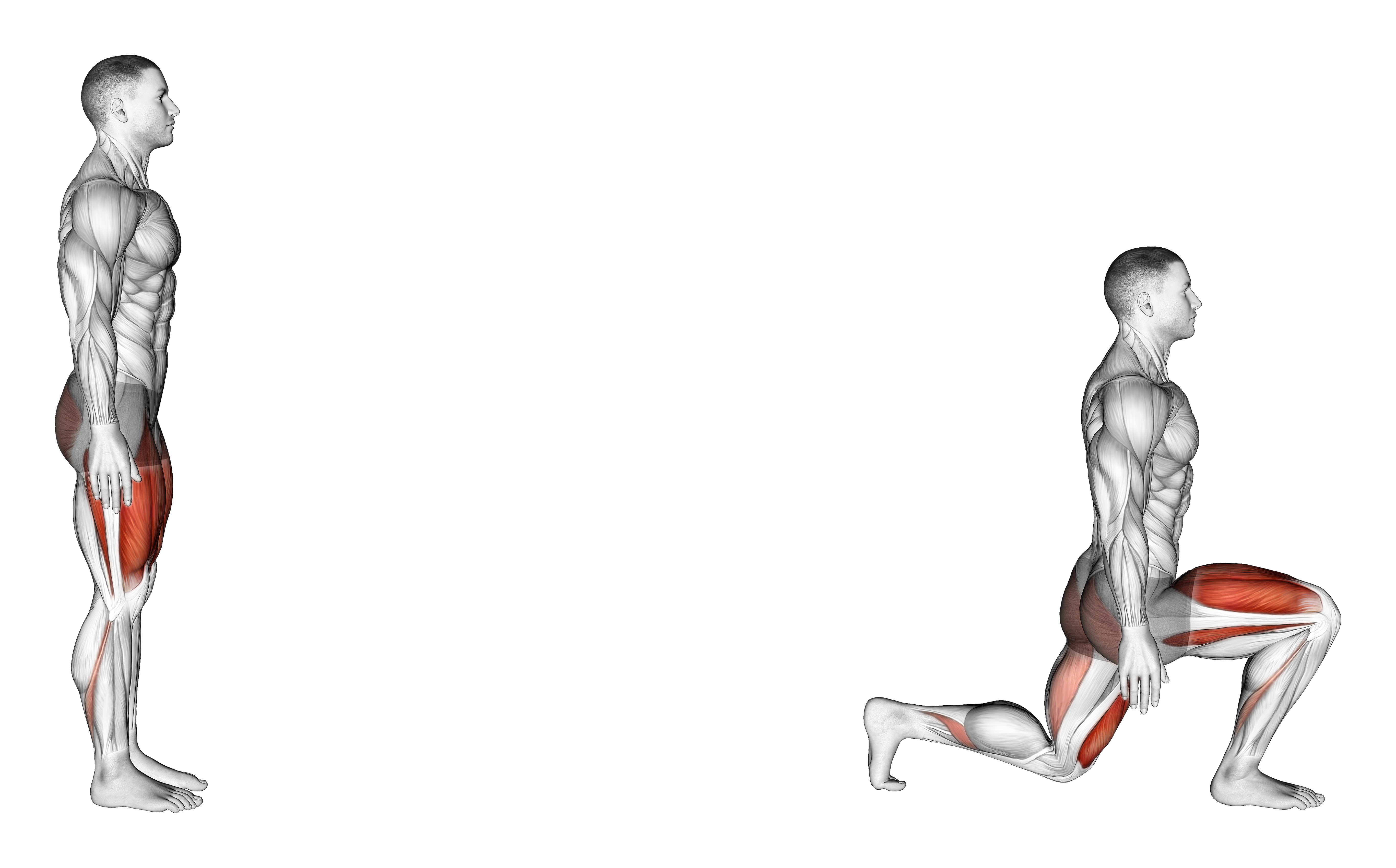 Resistance Band Lunge: Benefits, Muscles Worked, More - Inspire US