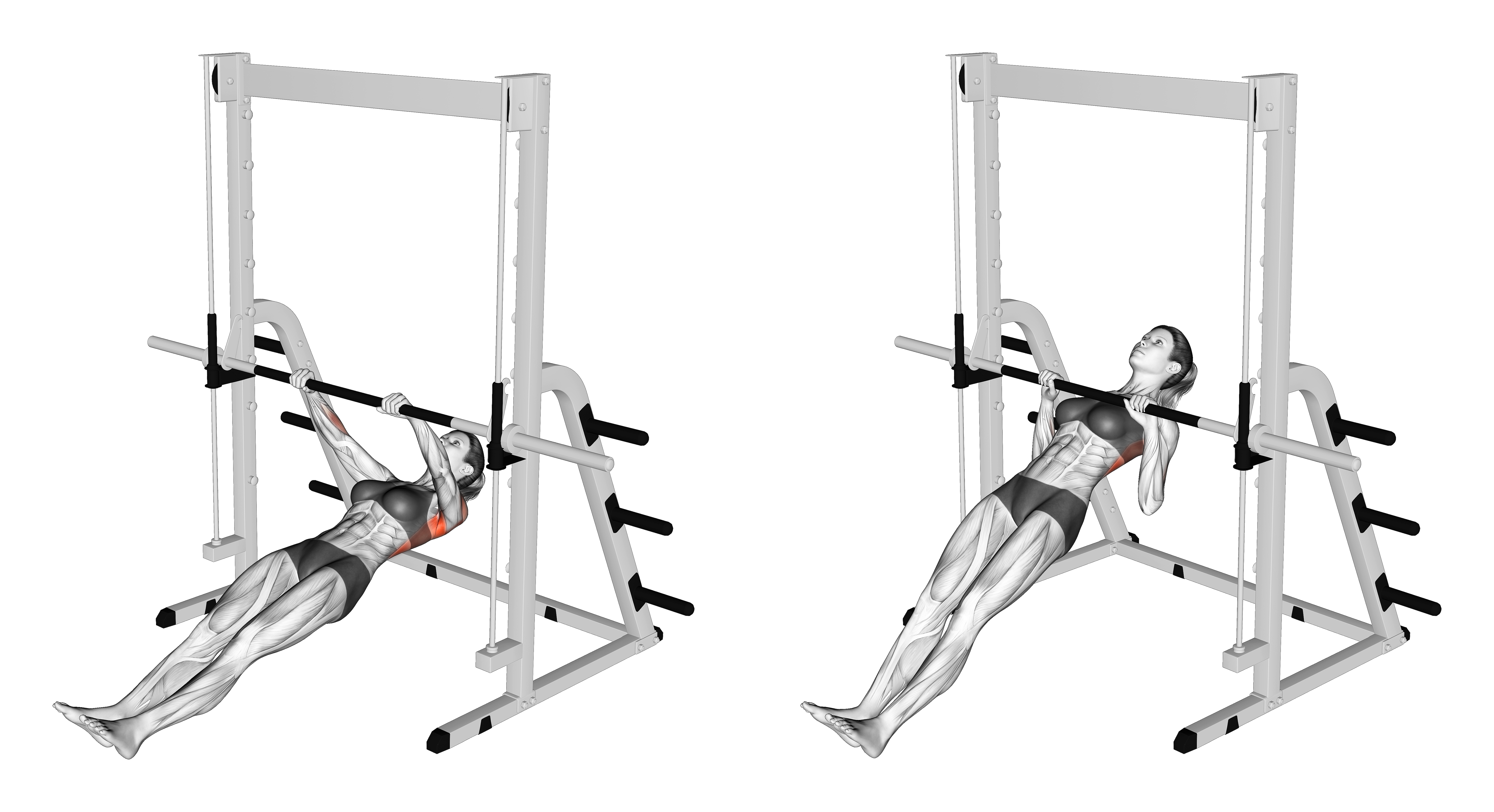 Inverted Row: Benefits, Muscles Worked, and More - Inspire US