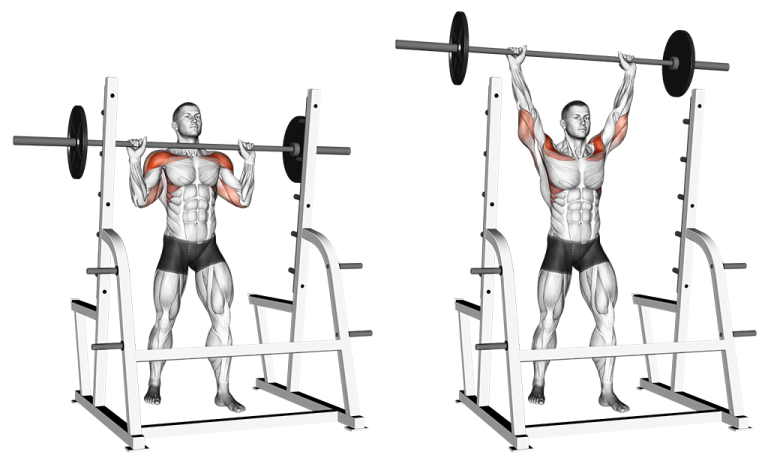 7 Best Shoulder Press Variations (with Pictures!) - Inspire US