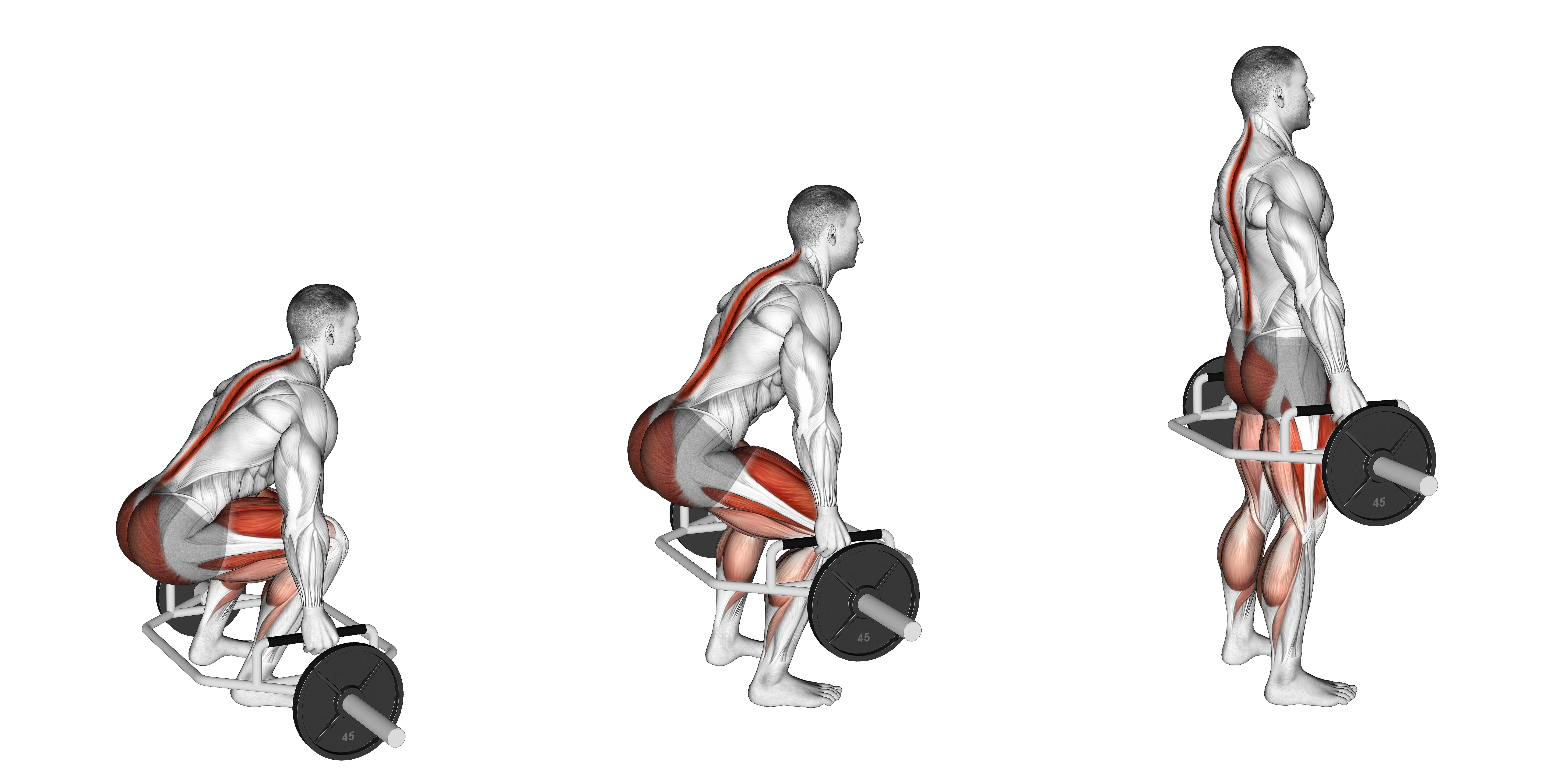 8 Best Types of Deadlift Variations (with Pictures!) - Inspire US