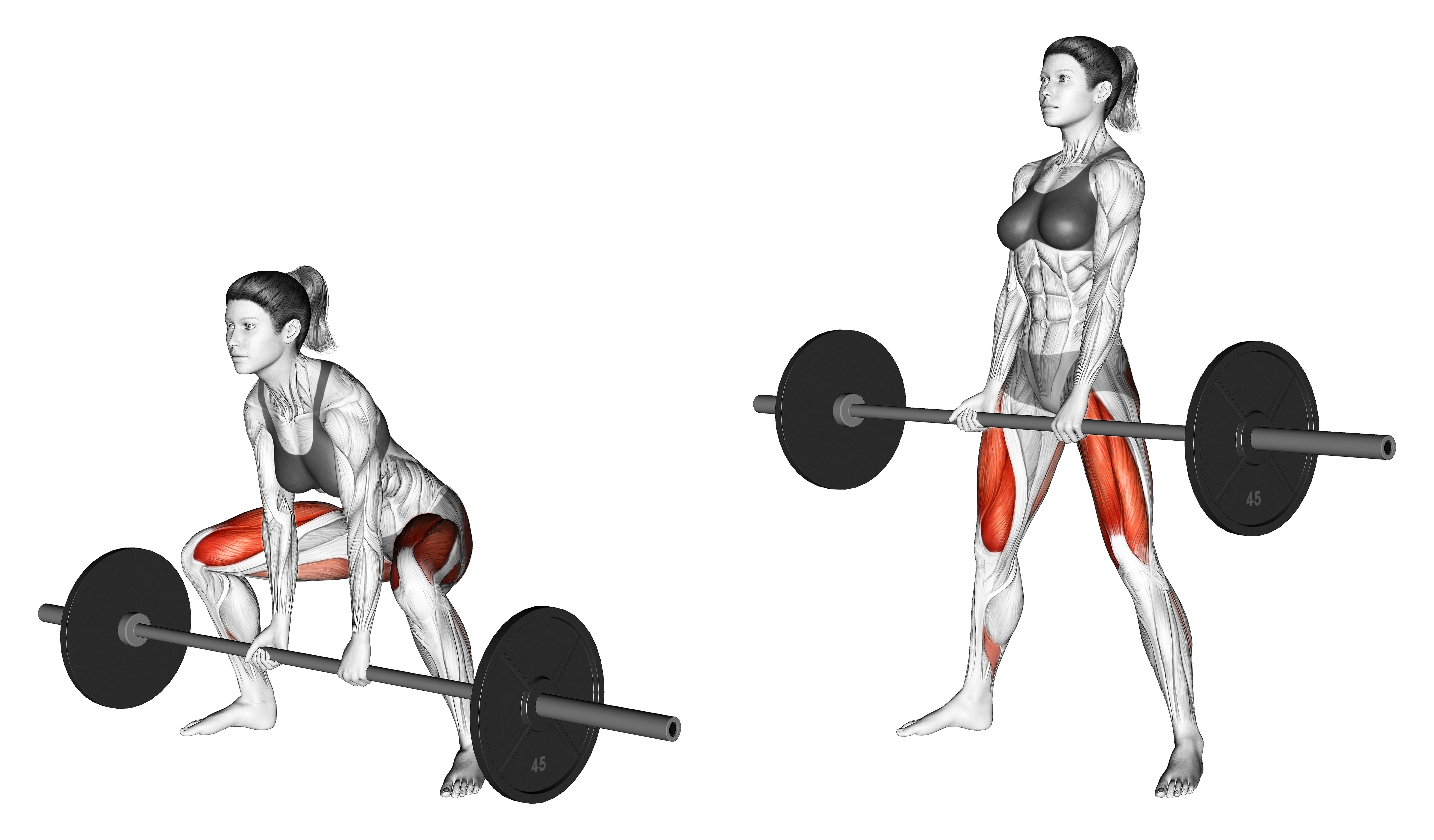 8 Best Types of Deadlift Variations (with Pictures!) - Inspire US