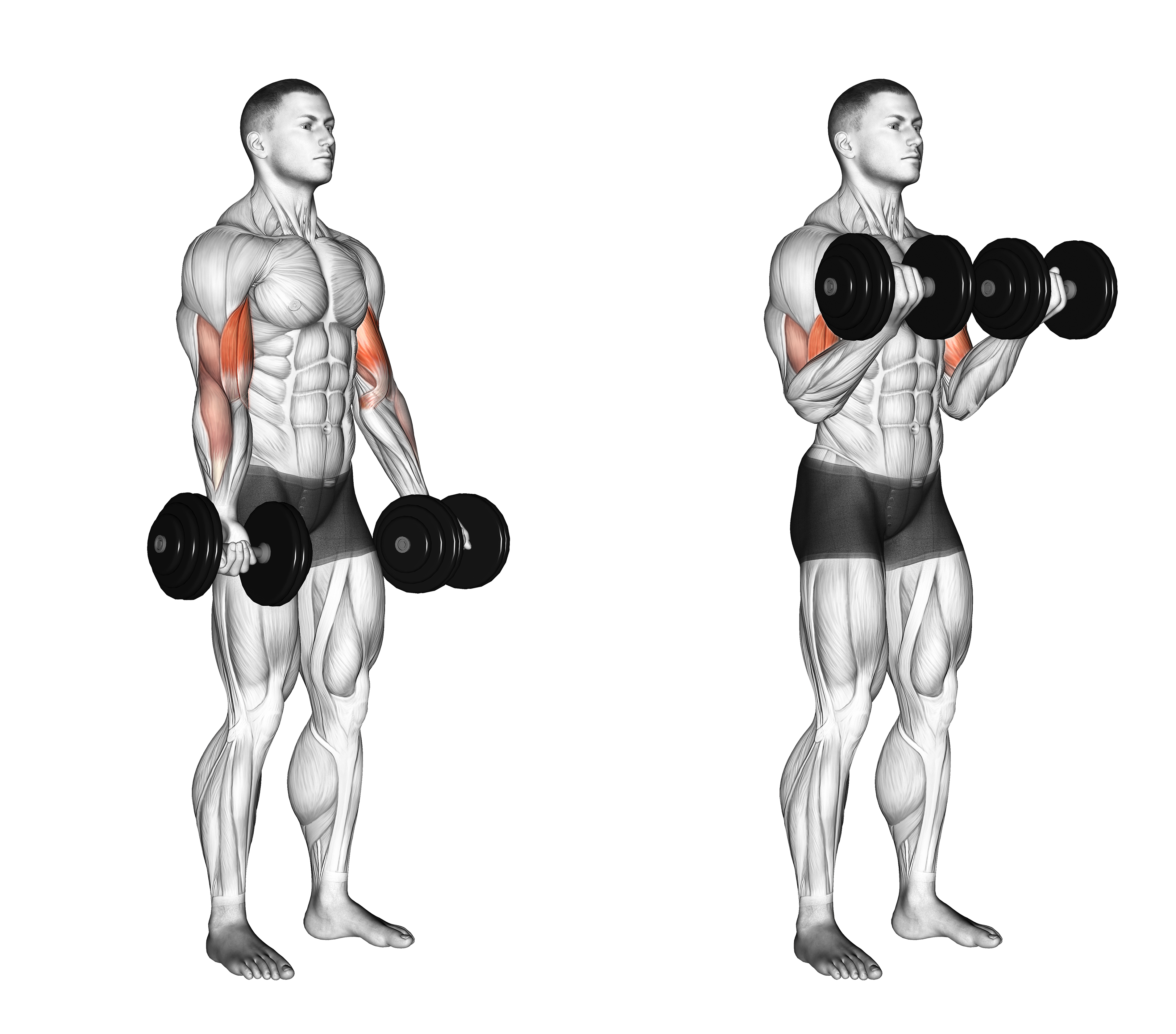10 Best Upper Body Pull Exercises (with Pictures!) - Inspire US