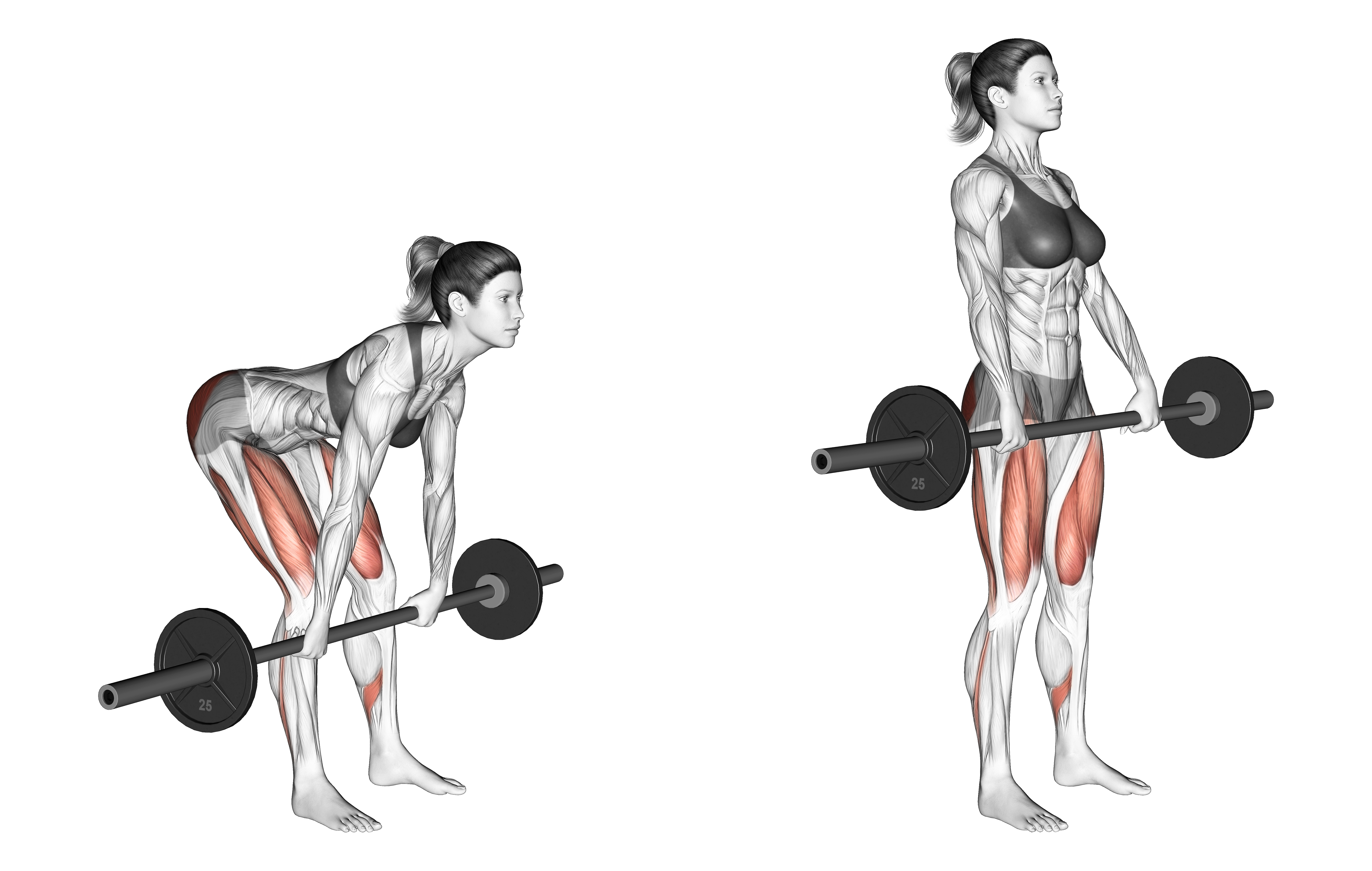 8 Best Types of Deadlift Variations (with Pictures!) - Inspire US