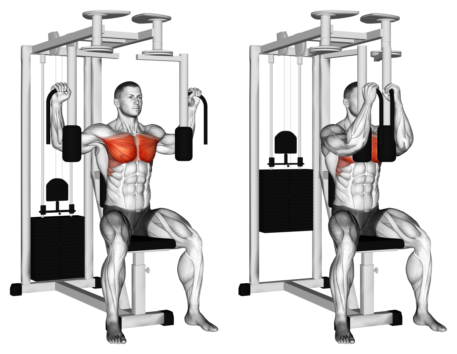 Pec Deck Machine: Benefits, Muscles Worked, and More - Inspire US