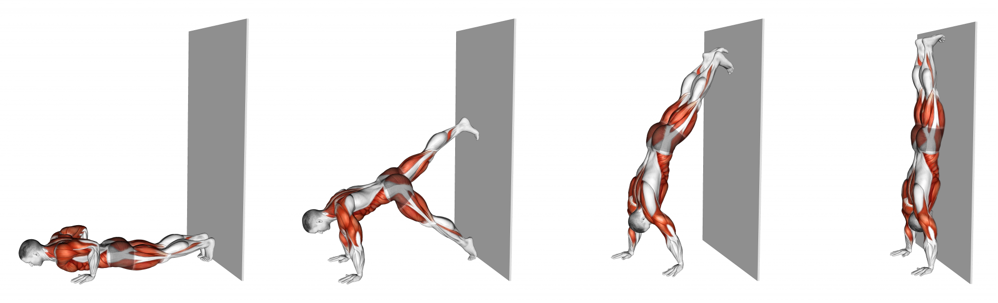 Wall Walk Alternatives: How Target the Same Muscles - Inspire US