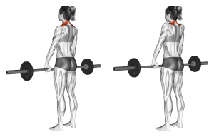 10 Best Upper Body Pull Exercises (with Pictures!) - Inspire US