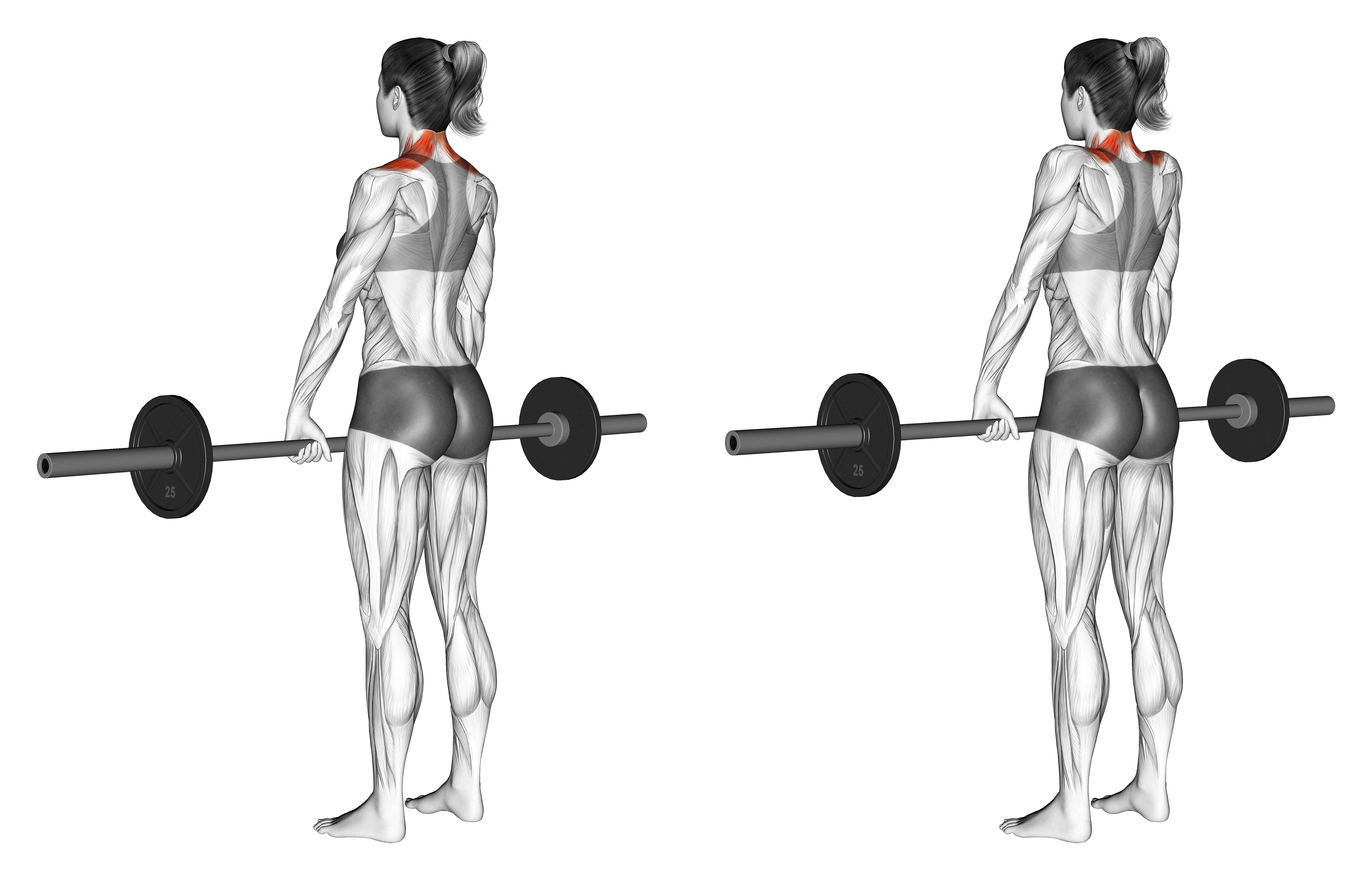 10 Best Upper Body Pull Exercises (with Pictures!) - Inspire US