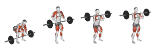 Snatch vs Clean: Major Differences Explained - Inspire US