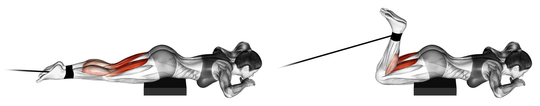 7 Best Resistance Band Hamstring Exercises (with Pictures!) - Inspire US