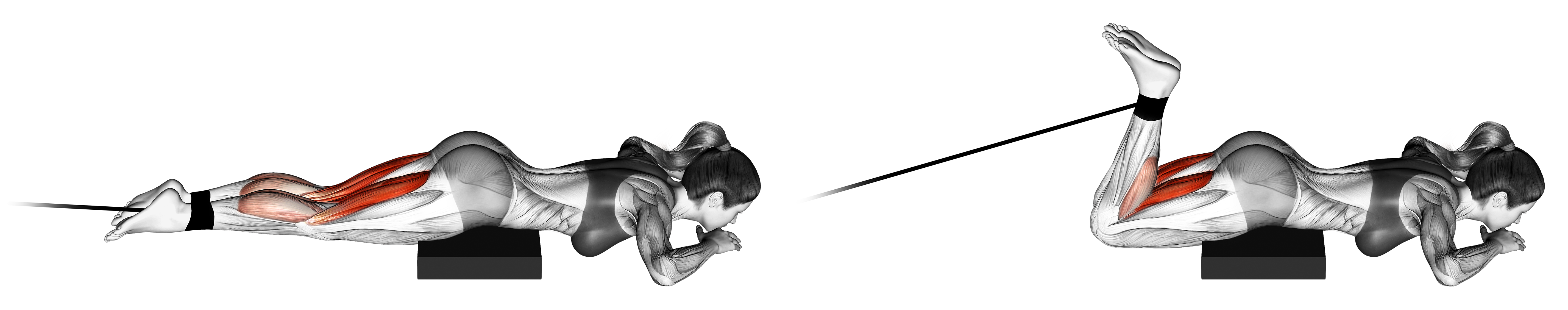 7 Best Resistance Band Hamstring Exercises (with Pictures!) - Inspire US