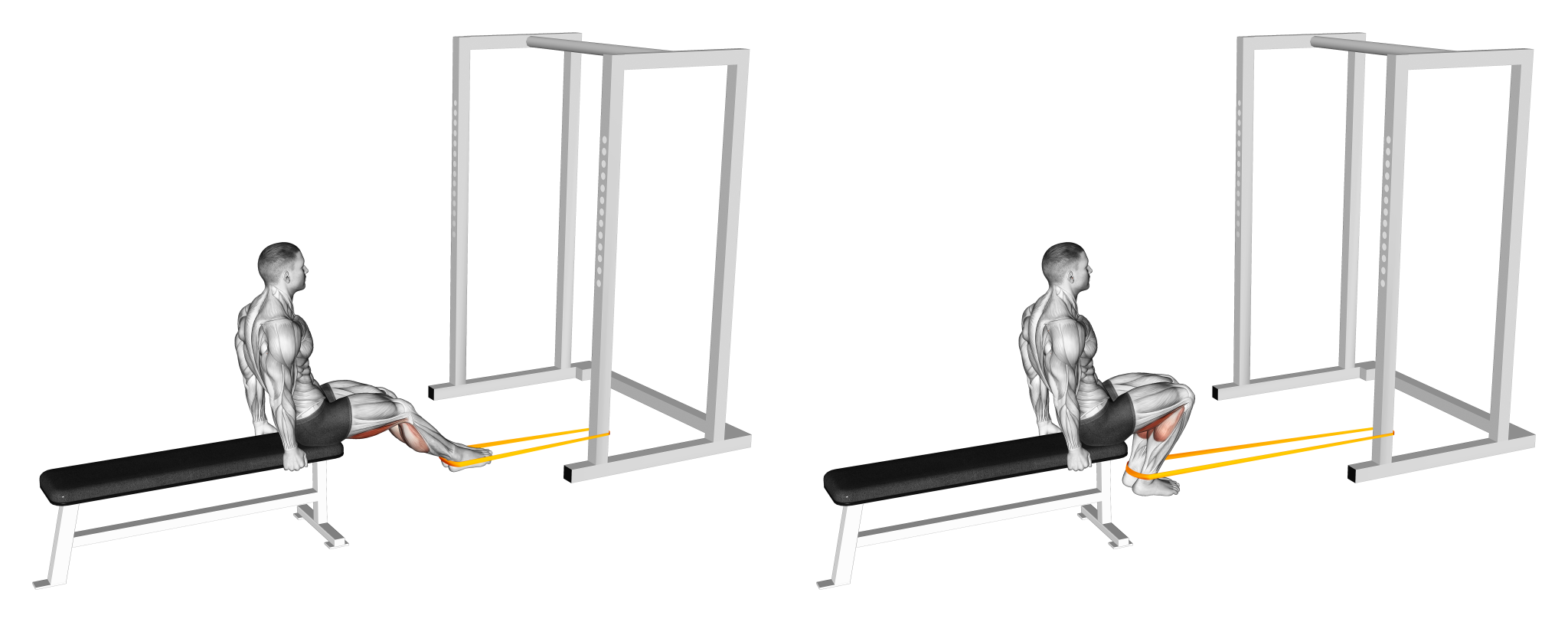 7 Best Resistance Band Hamstring Exercises (with Pictures!) - Inspire US