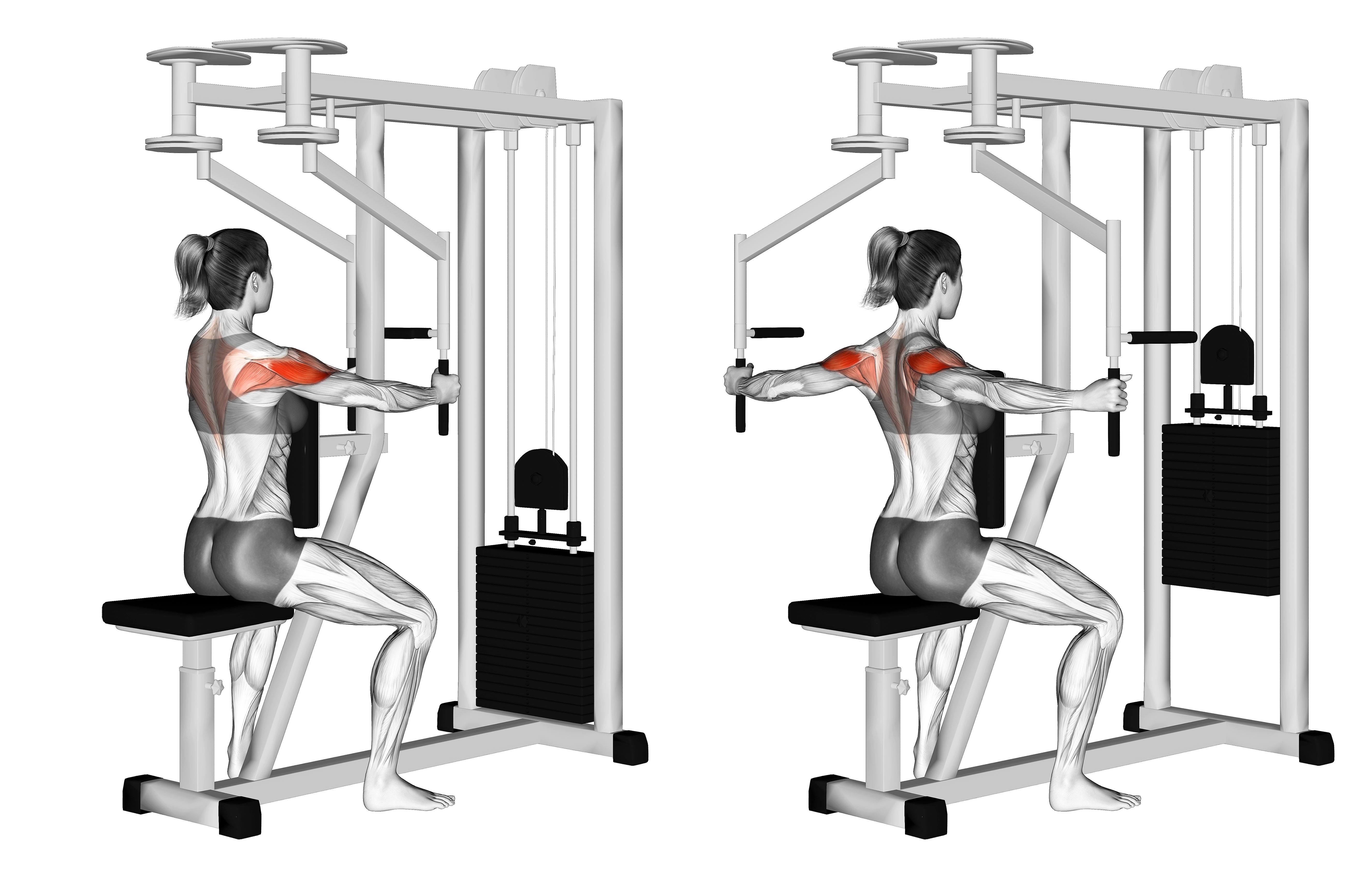 Pec Deck Machine Rear Delt Fly: Benefits, Muscles Worked, and More ...