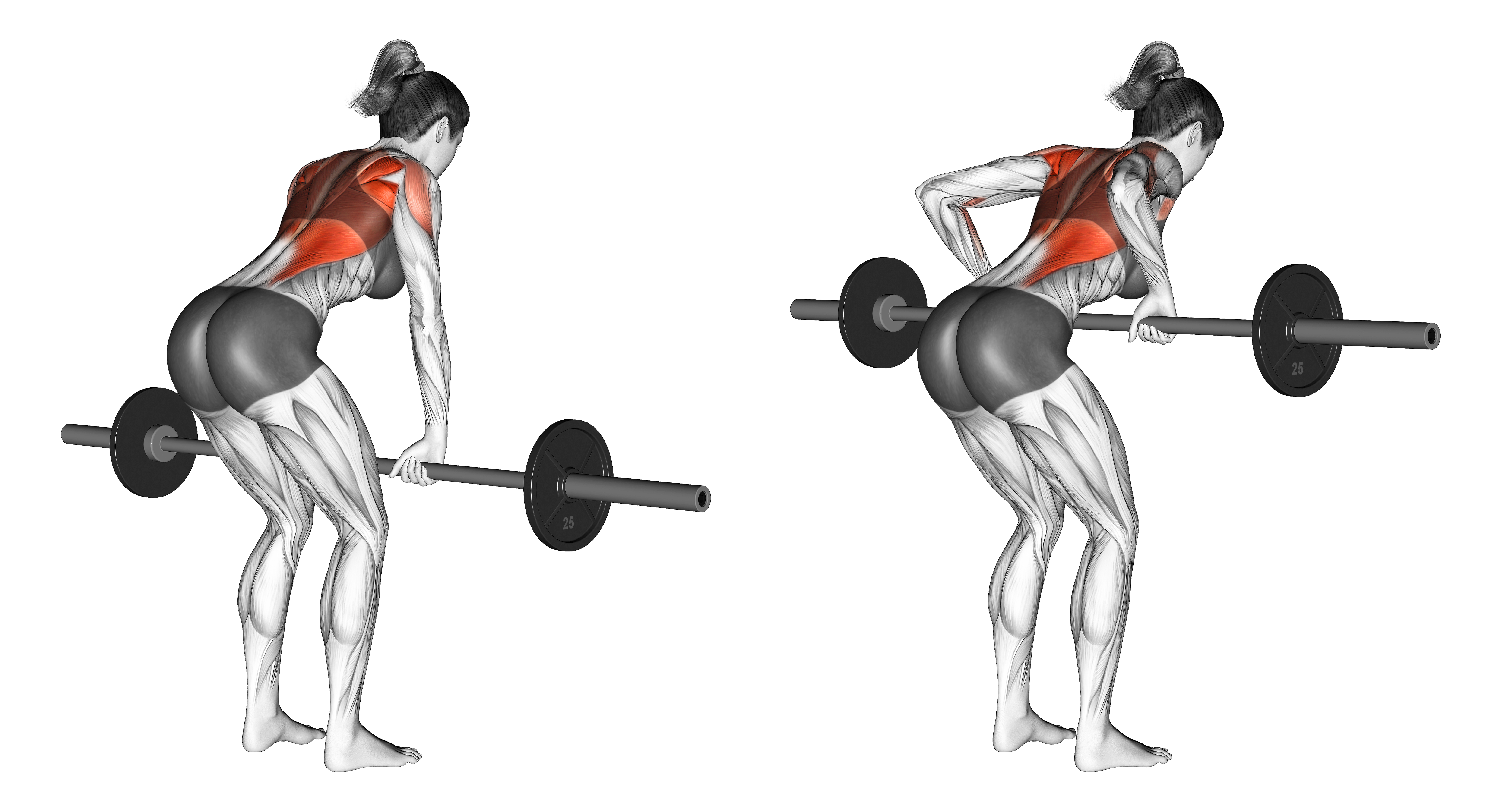 10 Best Upper Body Pull Exercises (with Pictures!) - Inspire US