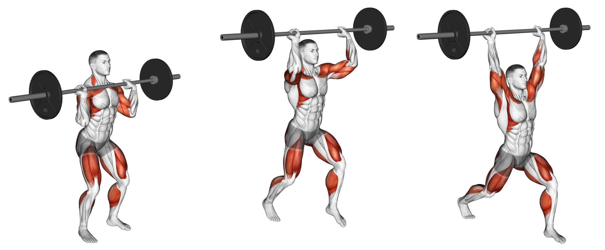 Hang Clean and Jerk: Benefits, Muscles Worked, and More - Inspire US