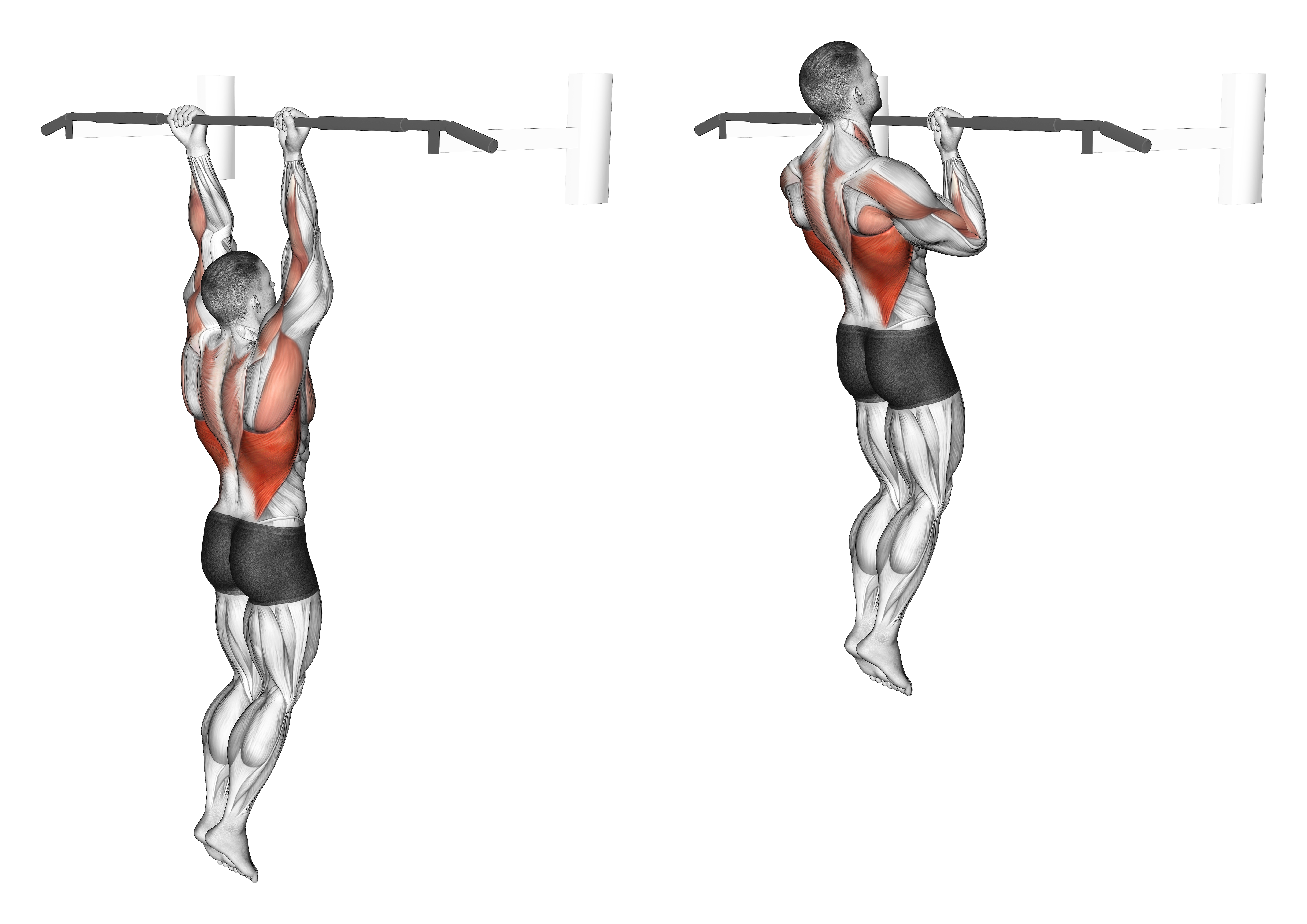 10 Best Upper Body Pull Exercises (with Pictures!) - Inspire US