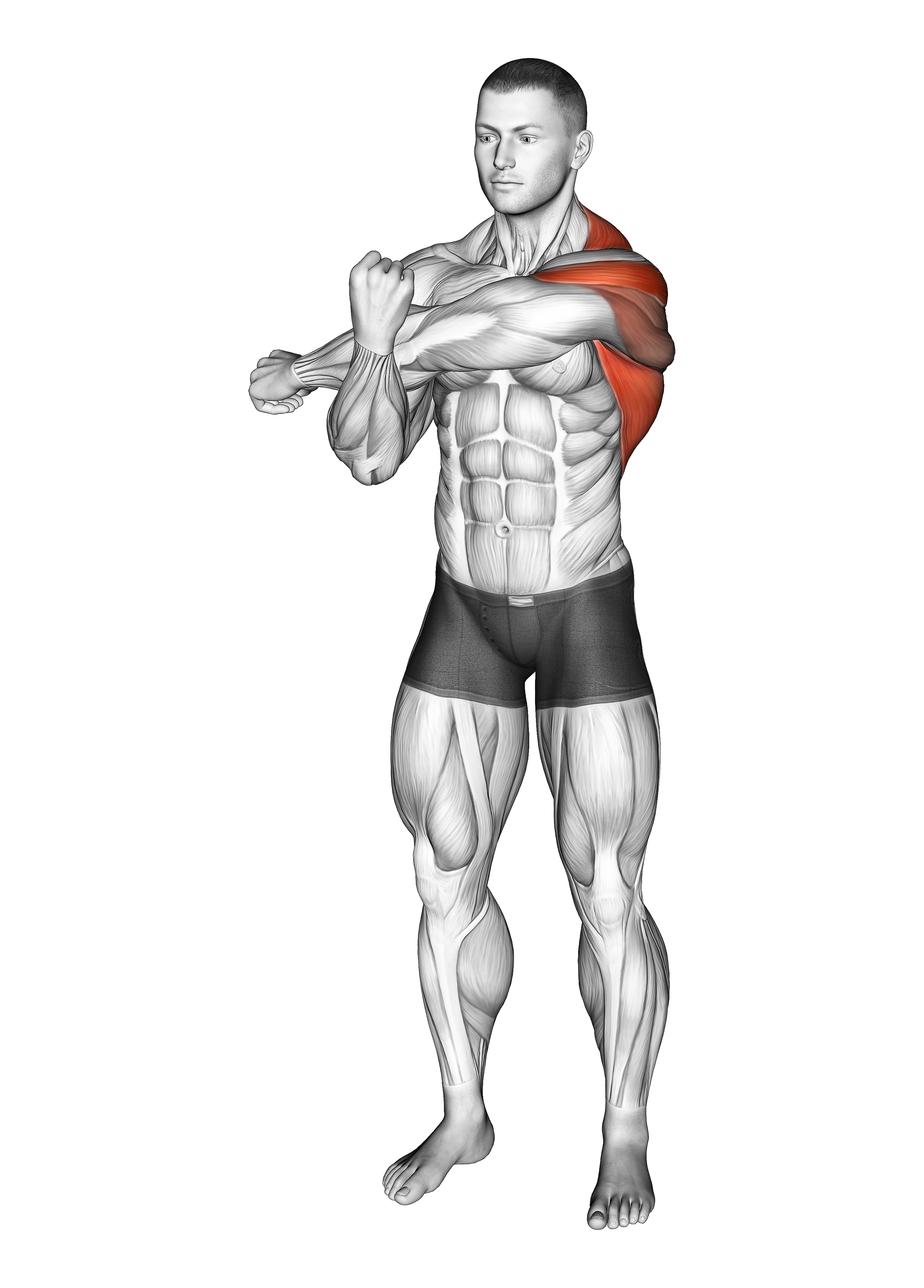 4 Best Rotator Cuff (Shoulder) Impingement Exercises (with Pictures ...