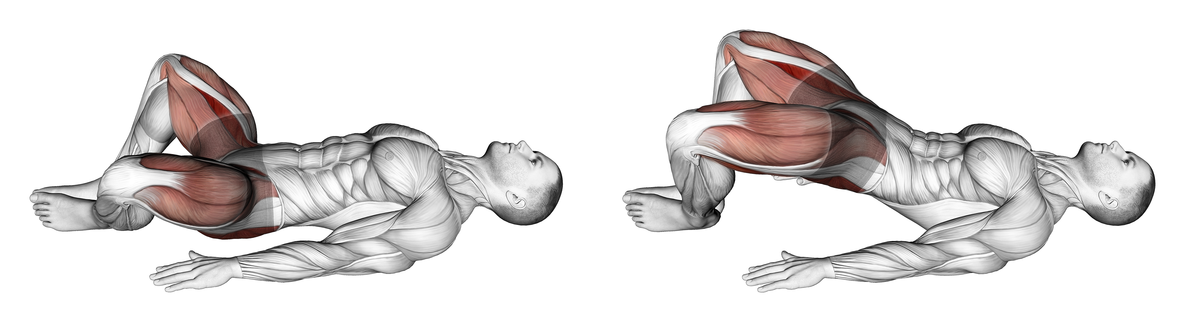 Frog Hip Thrust: Benefits, Muscles Worked, and More - Inspire US