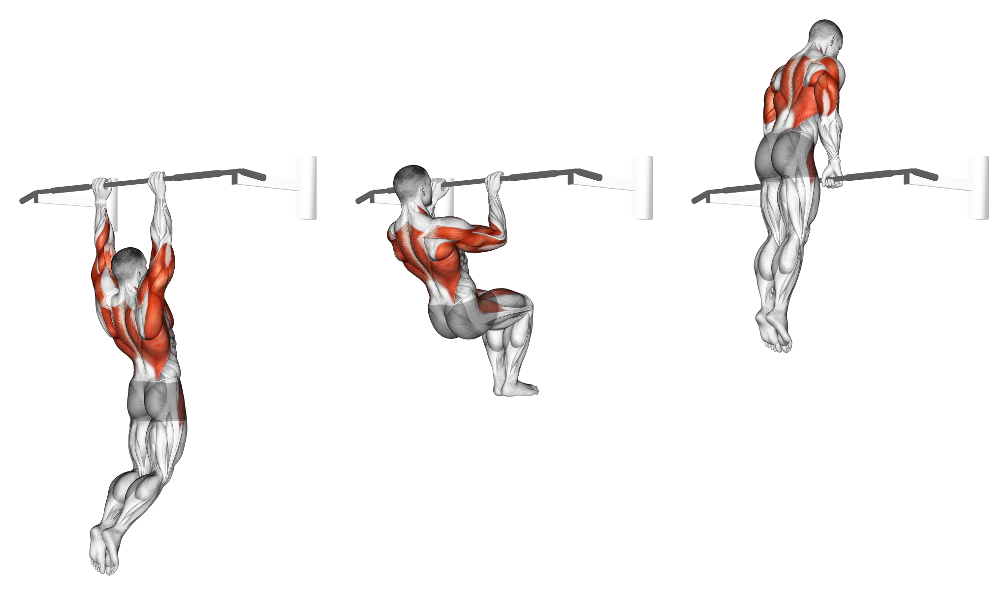 Muscle Ups: Benefits, Muscles Worked, and More - Inspire US