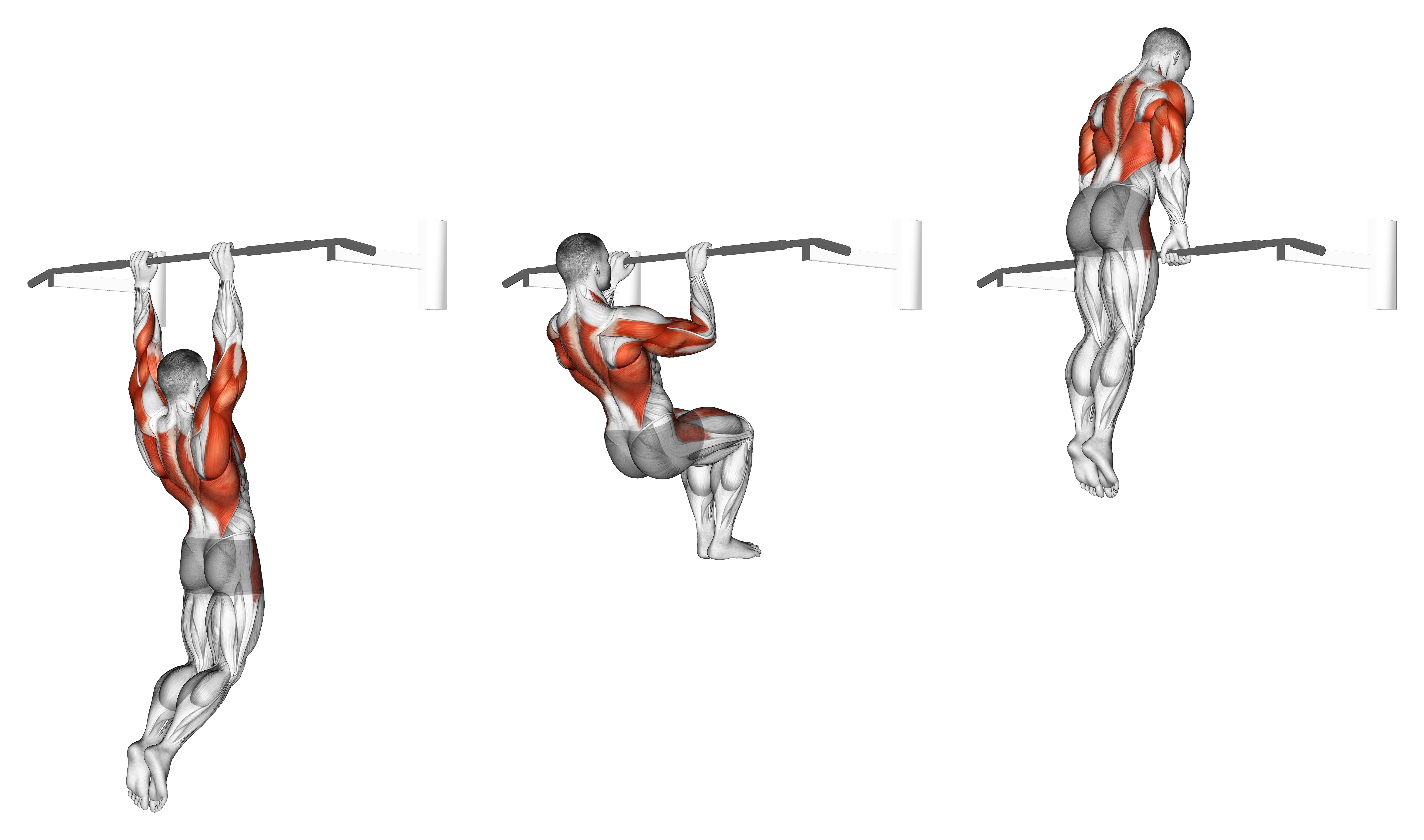 Muscle Ups: Benefits, Muscles Worked, and More - Inspire US