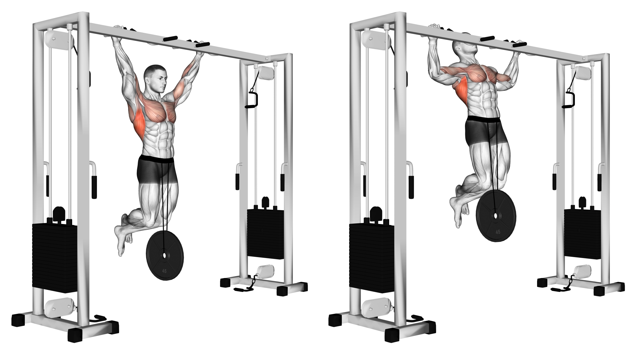 4 Best Pull Up Variations For Back Musculature (with Pictures!) - Inspire US