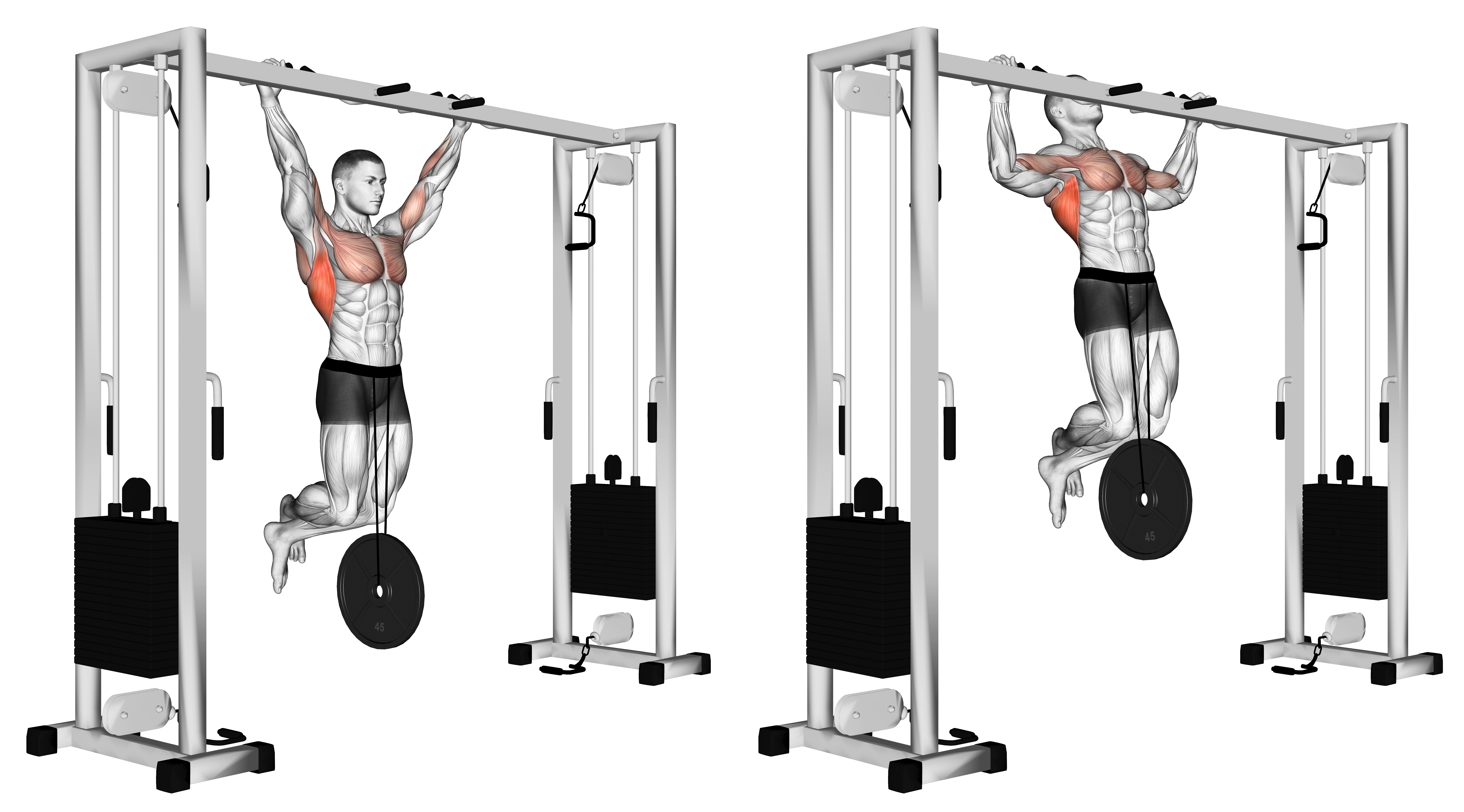 4 Best Pull Up Variations For Back Musculature (with Pictures ...
