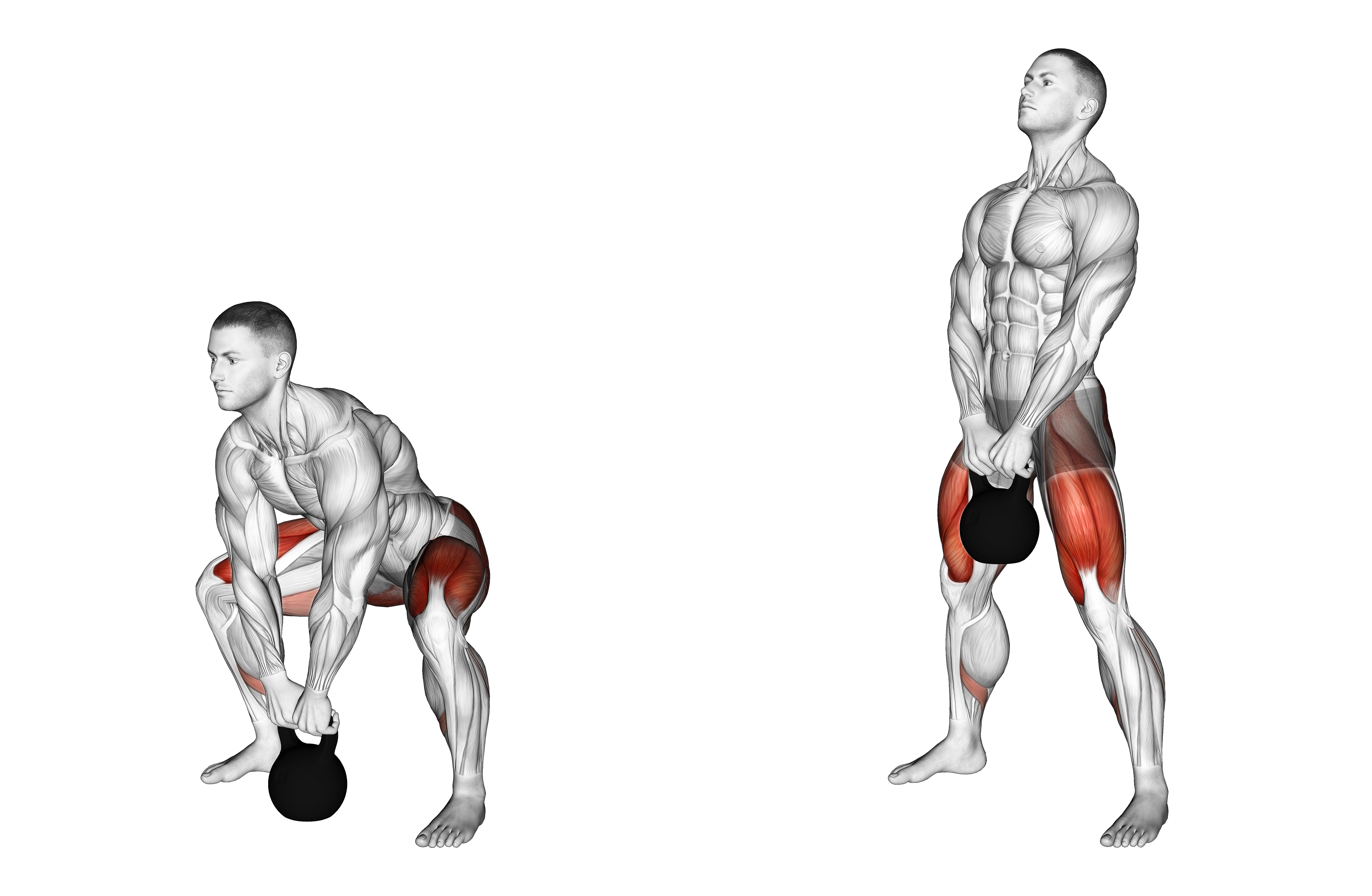 Kettlebell Sumo Deadlift: Benefits, Muscles Worked, and More - Inspire US