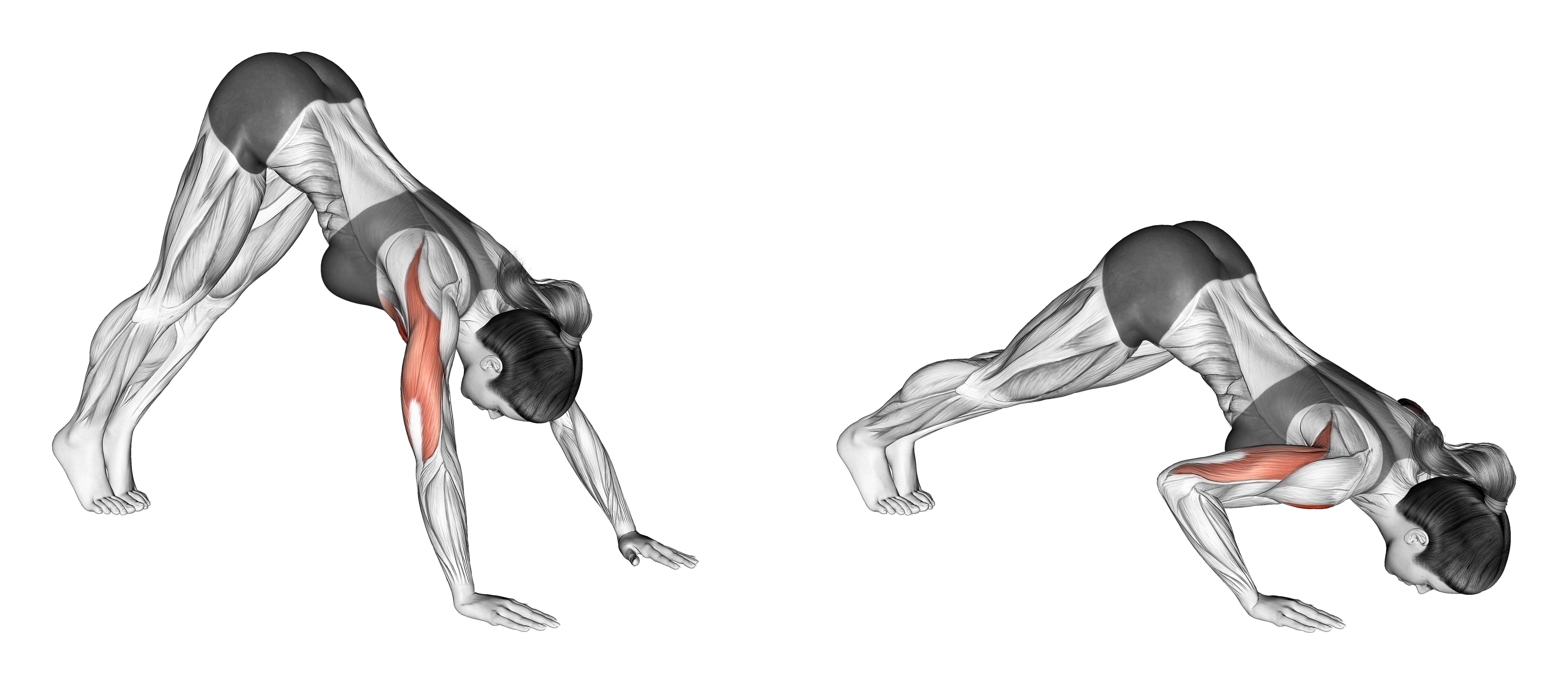 Pike Push-Ups: Benefits, Muscles Worked, and More - Inspire US