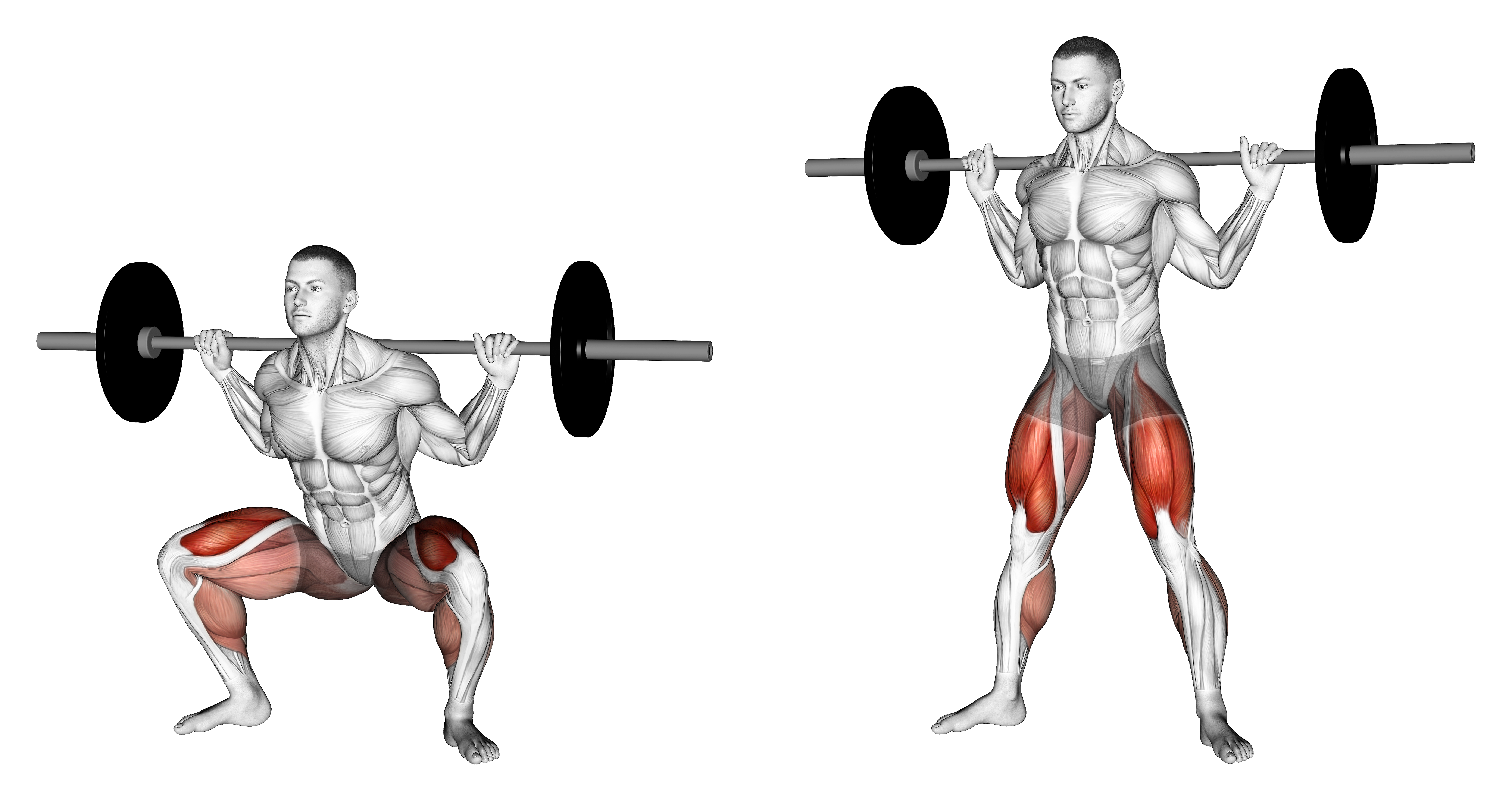 Sumo vs Conventional Squat: Differences Explained - Inspire US
