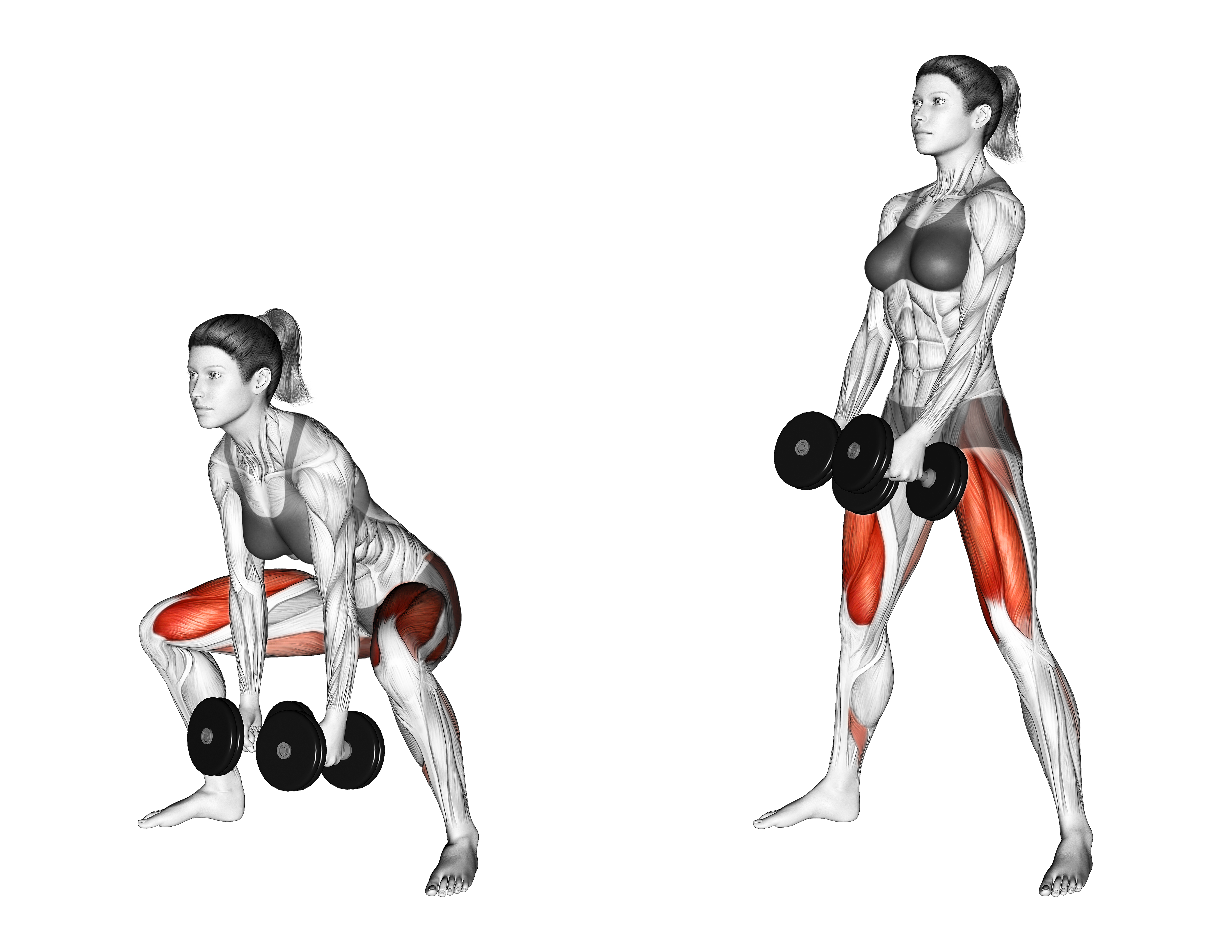 Dumbbell Sumo Deadlift: Benefits, Muscles Worked, and More - Inspire US