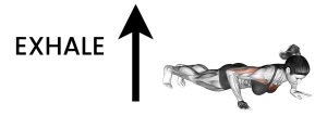 How to Breathe During Push Ups: Valsalva Maneuver Explained - Inspire US