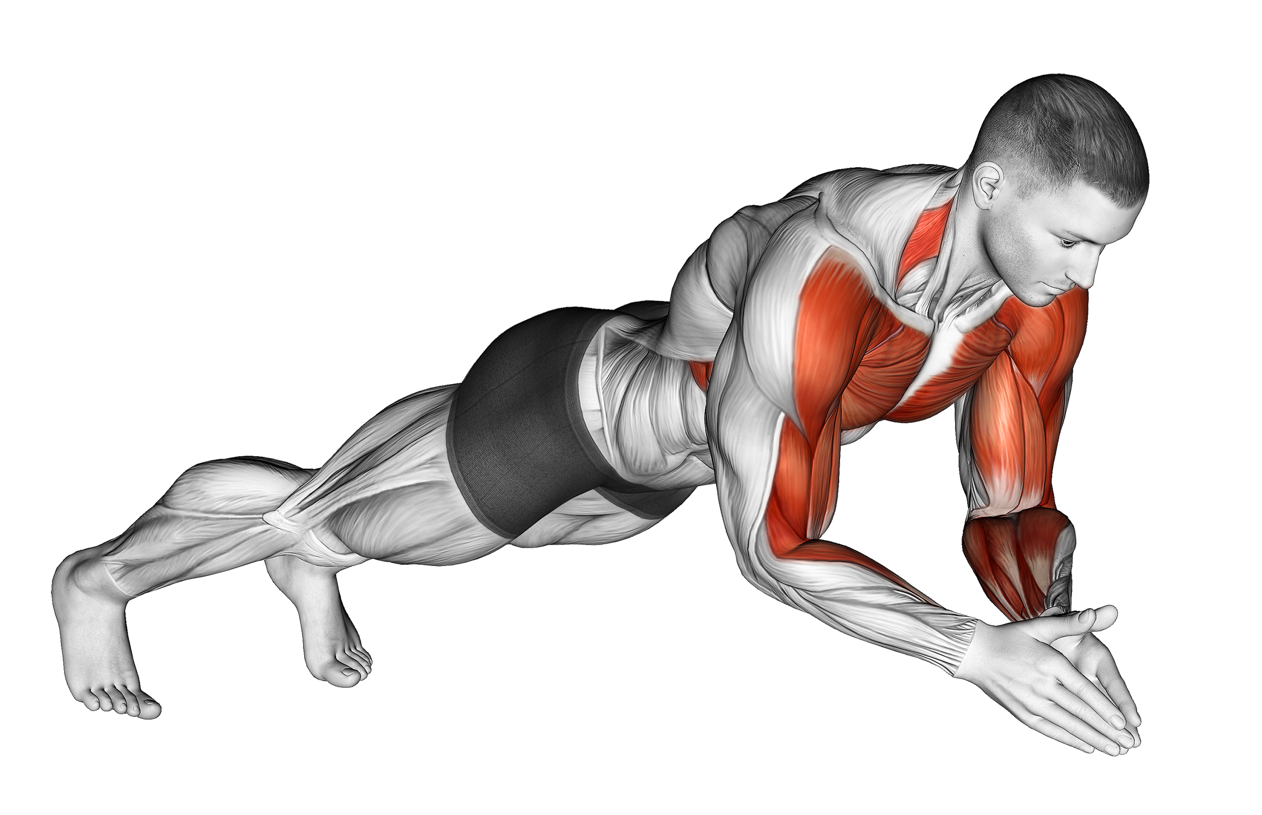 Clapping Push Up: Benefits, Muscles Worked, and More - Inspire US