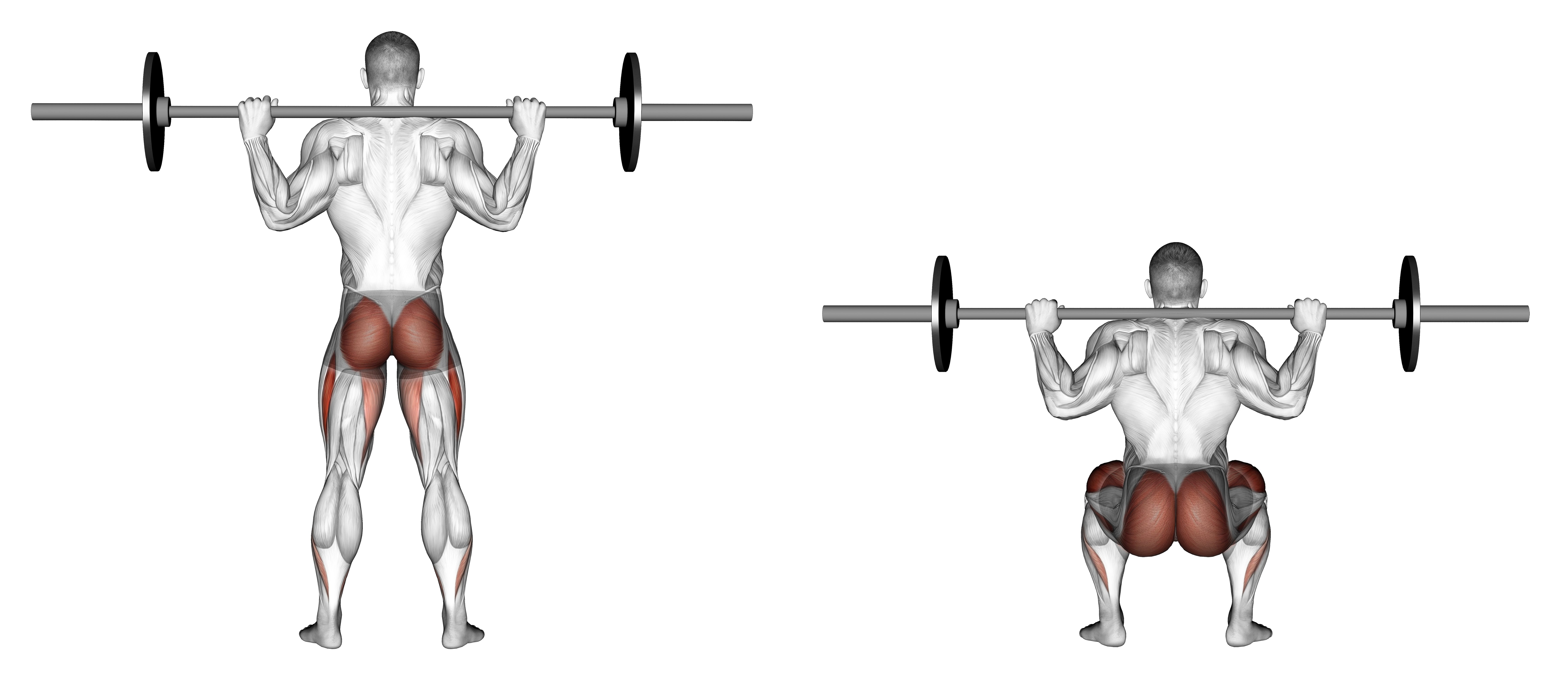 Foot Positioning For Squats: Cues, Angle, Width, and More - Inspire US