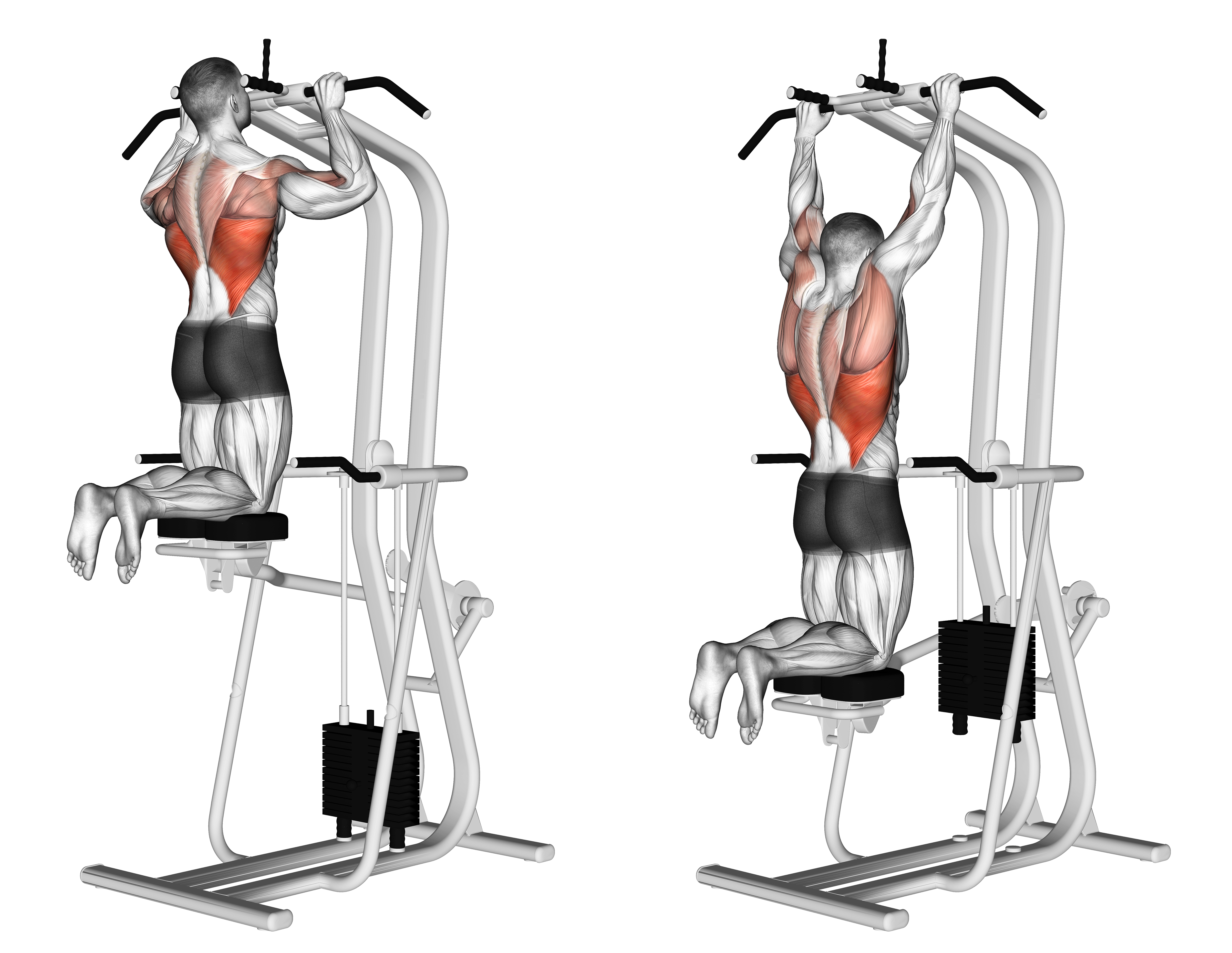 Assisted Pull-Up (Band and Machine): Benefits, Muscles Worked, and More ...
