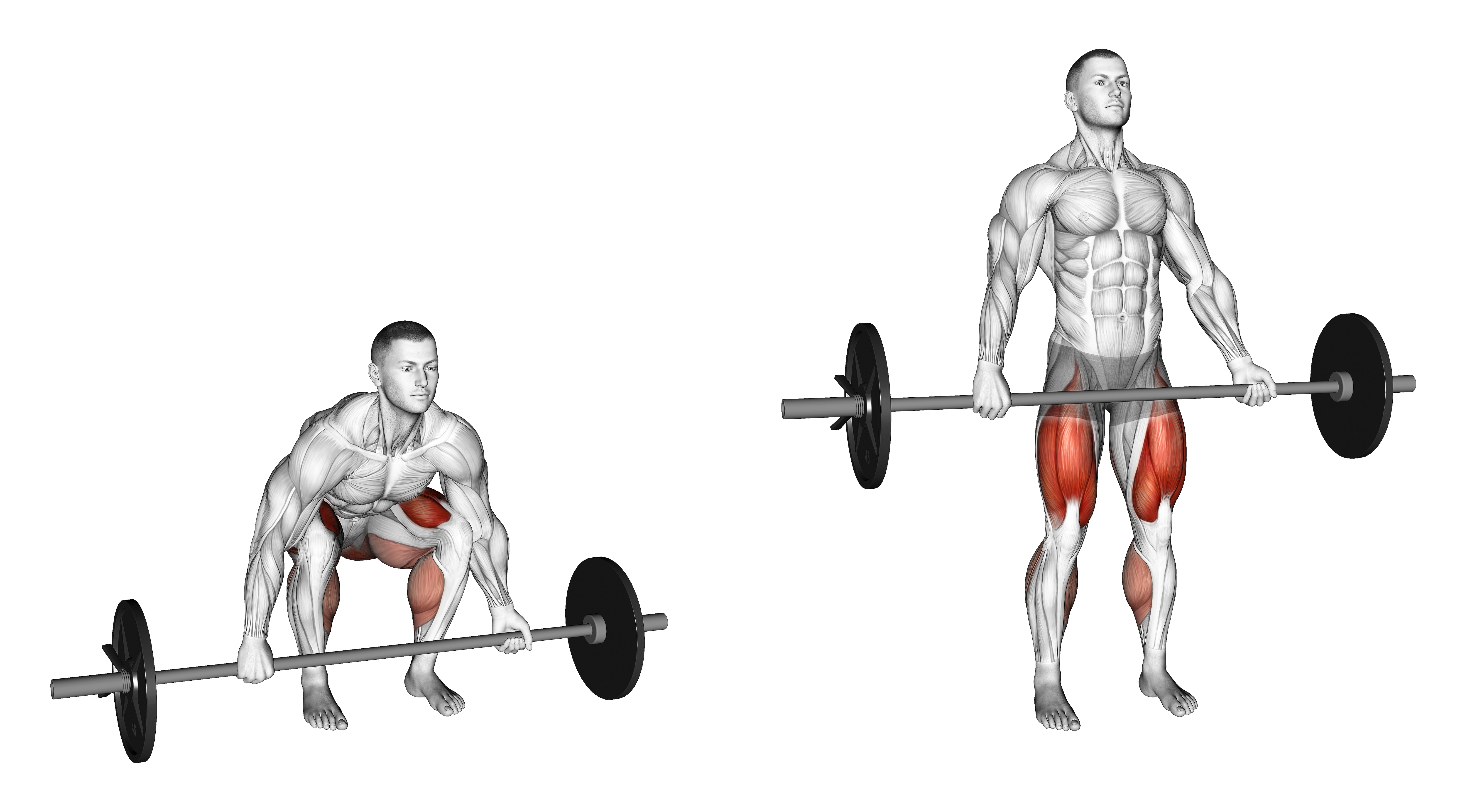 8 Best Types of Deadlift Variations (with Pictures!) - Inspire US