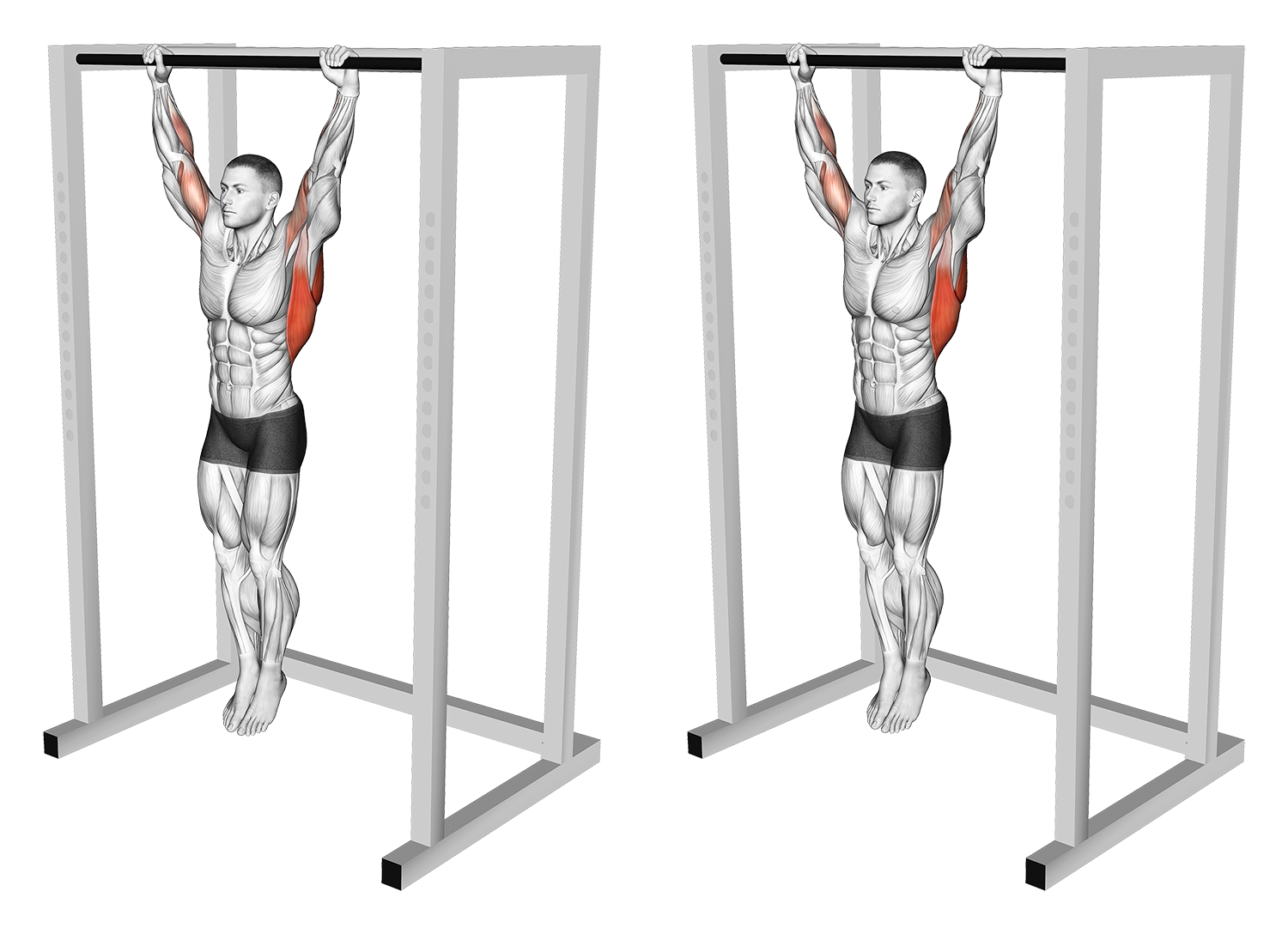 Dead Hangs: Benefits, Muscles Worked, and More - Inspire US