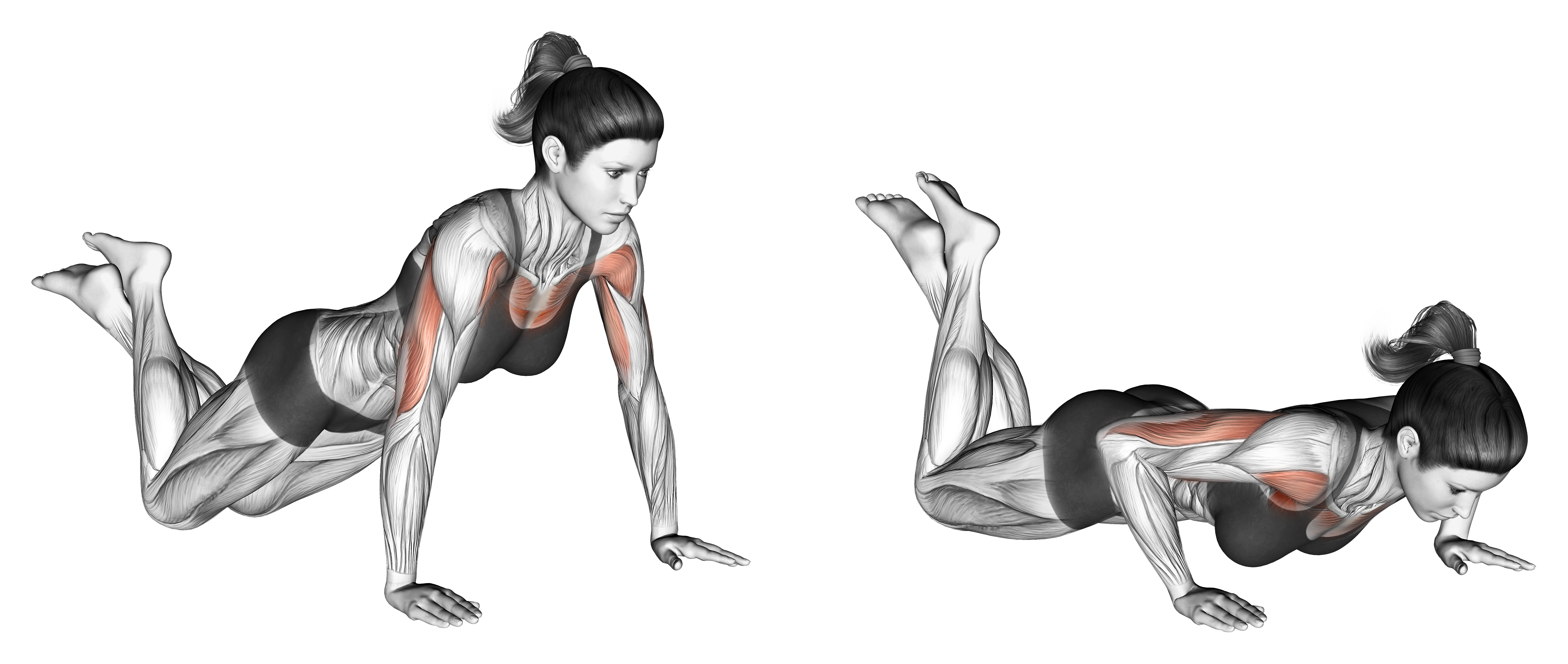 Knee Push Ups/Kneeling Push Ups: Benefits, Muscles Worked, and More ...